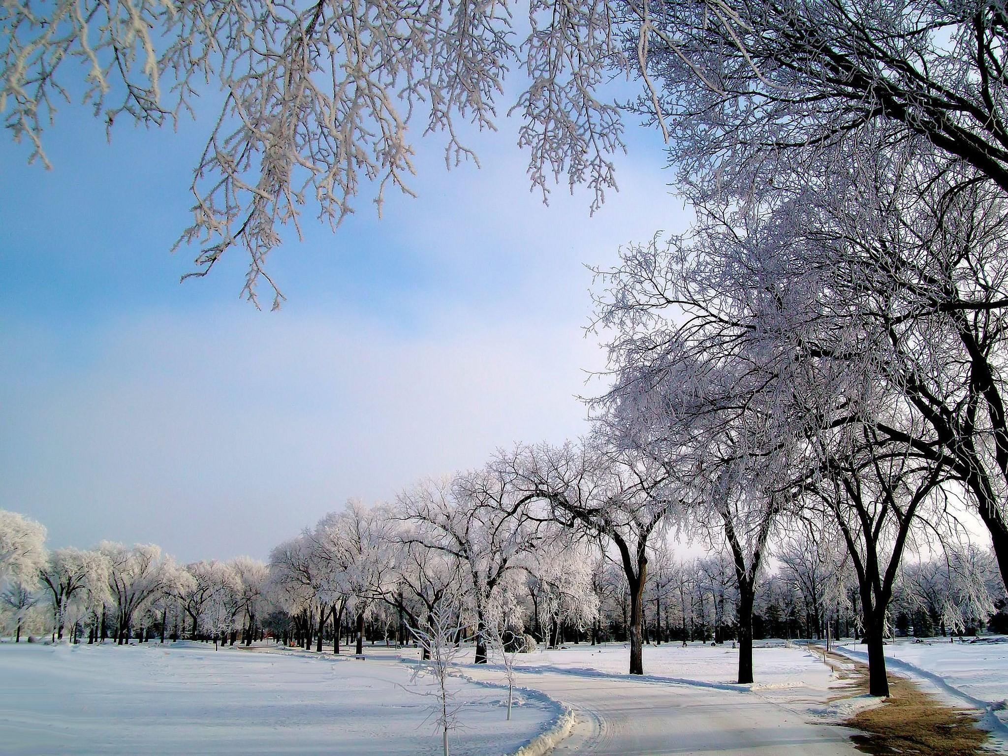Winter Sonata Wallpapers - Top Free Winter Sonata Backgrounds ...