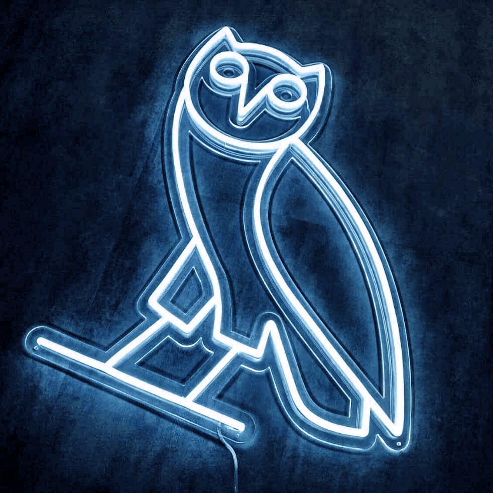 Red Drake Owl Wallpapers - Top Free Red Drake Owl Backgrounds ...