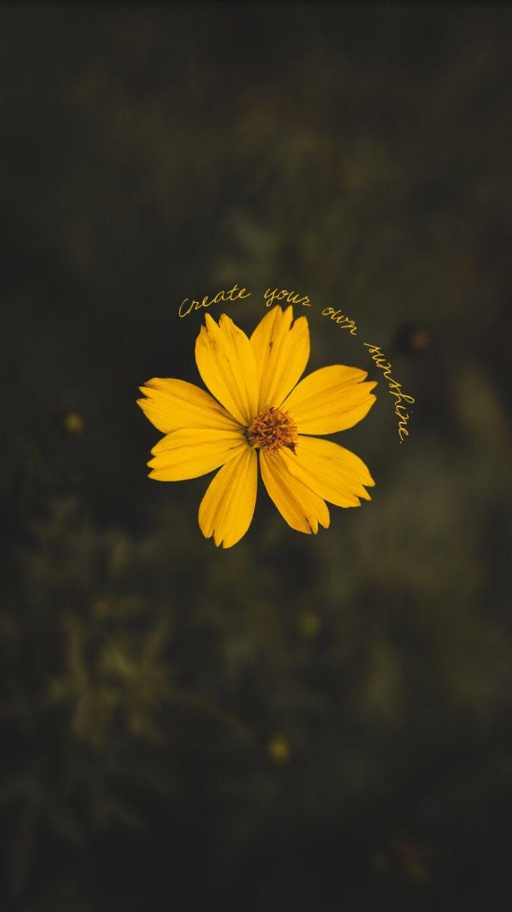 Bright Happy Wallpapers - Top Free Bright Happy Backgrounds ...