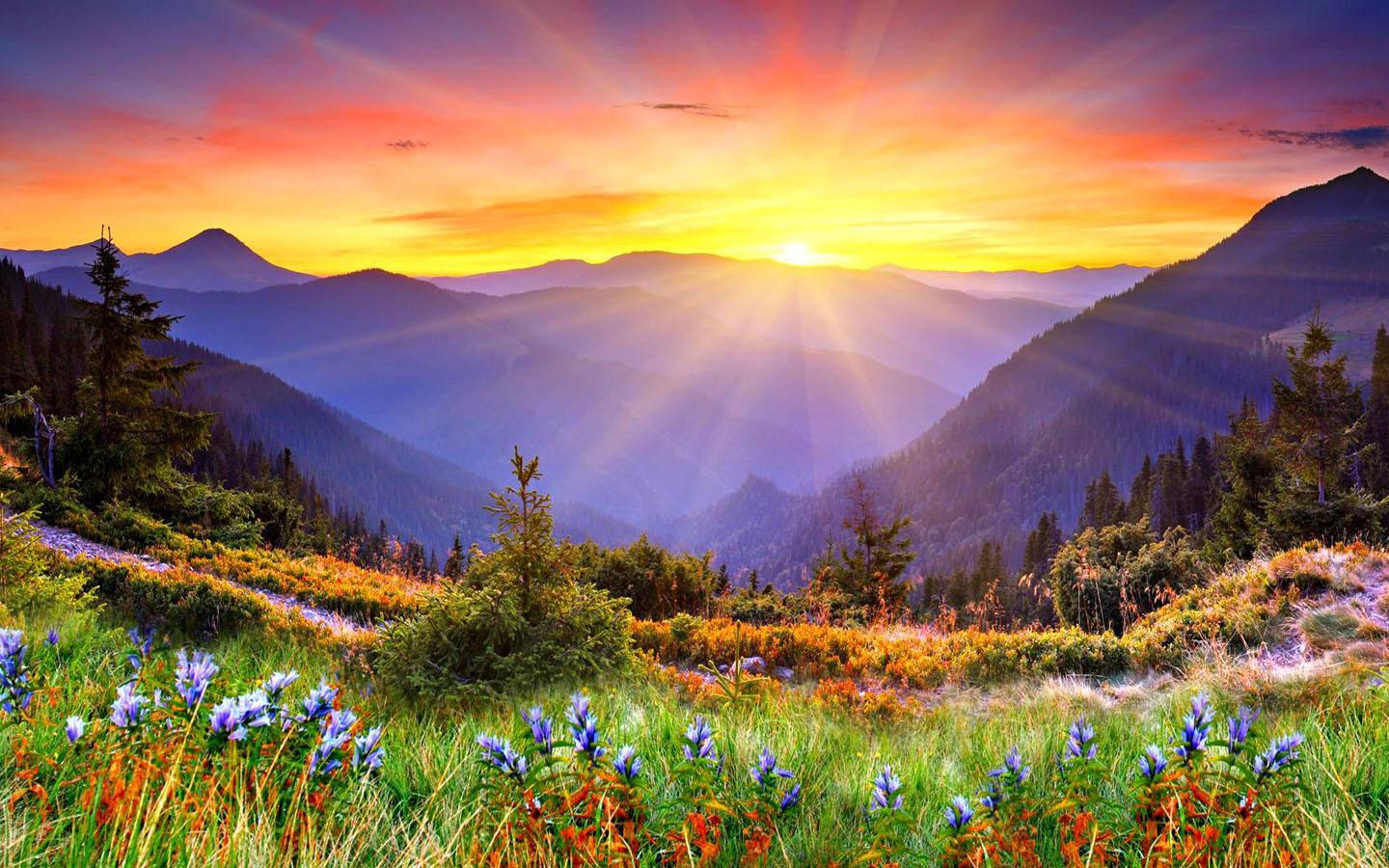 Peaceful Sunrise Wallpapers - Top Free Peaceful Sunrise Backgrounds ...