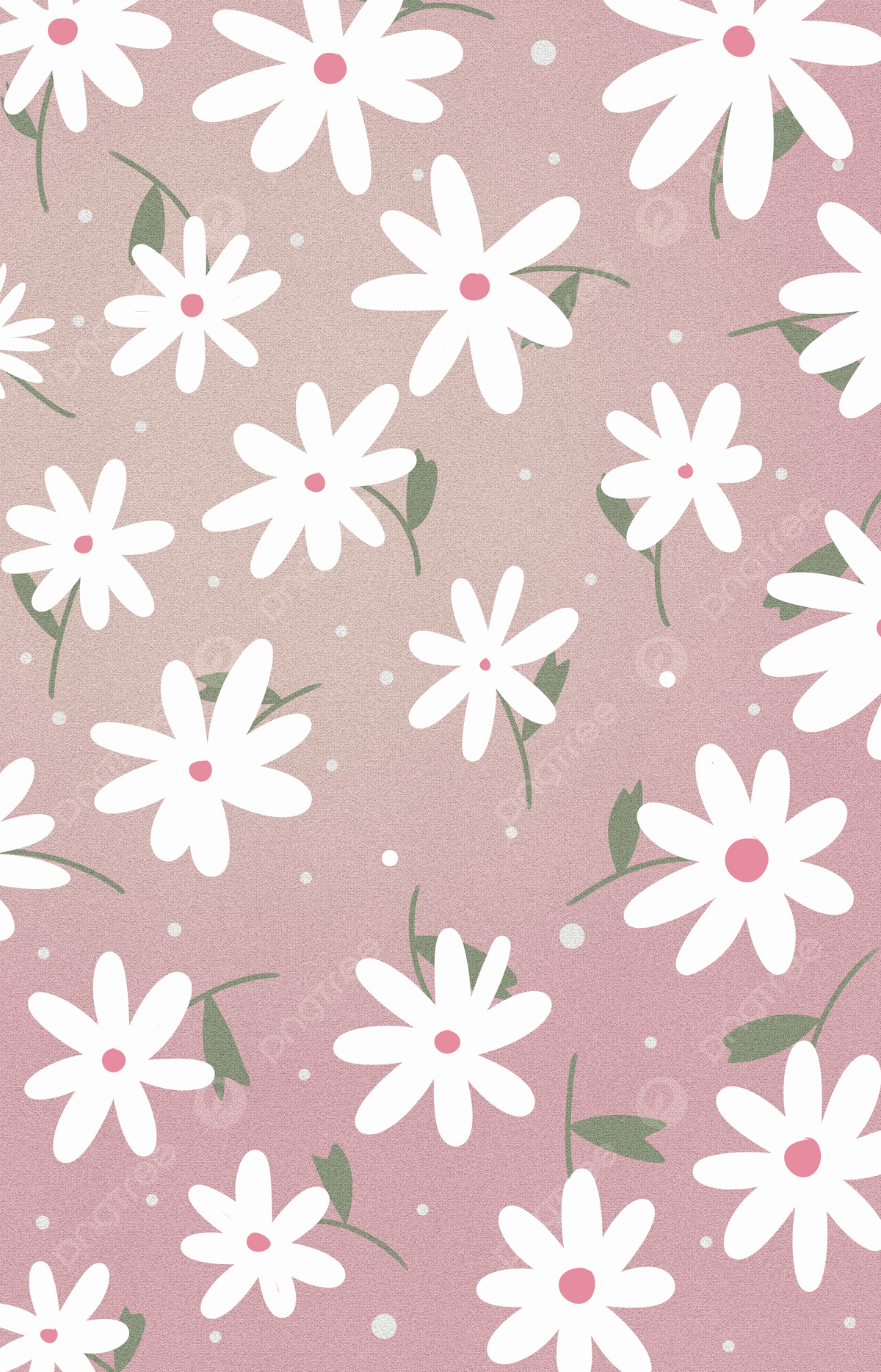 Spring Daisy Wallpapers - Top Free Spring Daisy Backgrounds ...