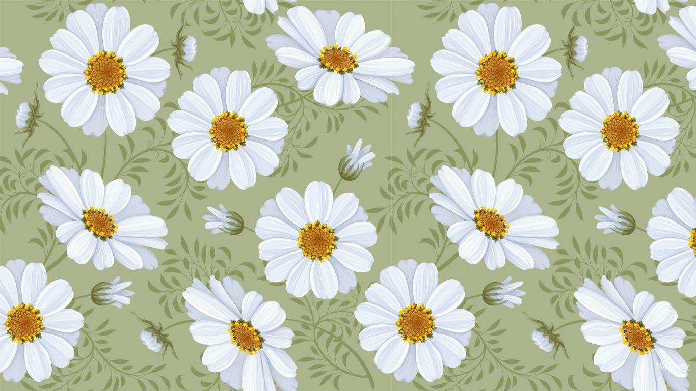 Spring Daisy Wallpapers - Top Free Spring Daisy Backgrounds ...