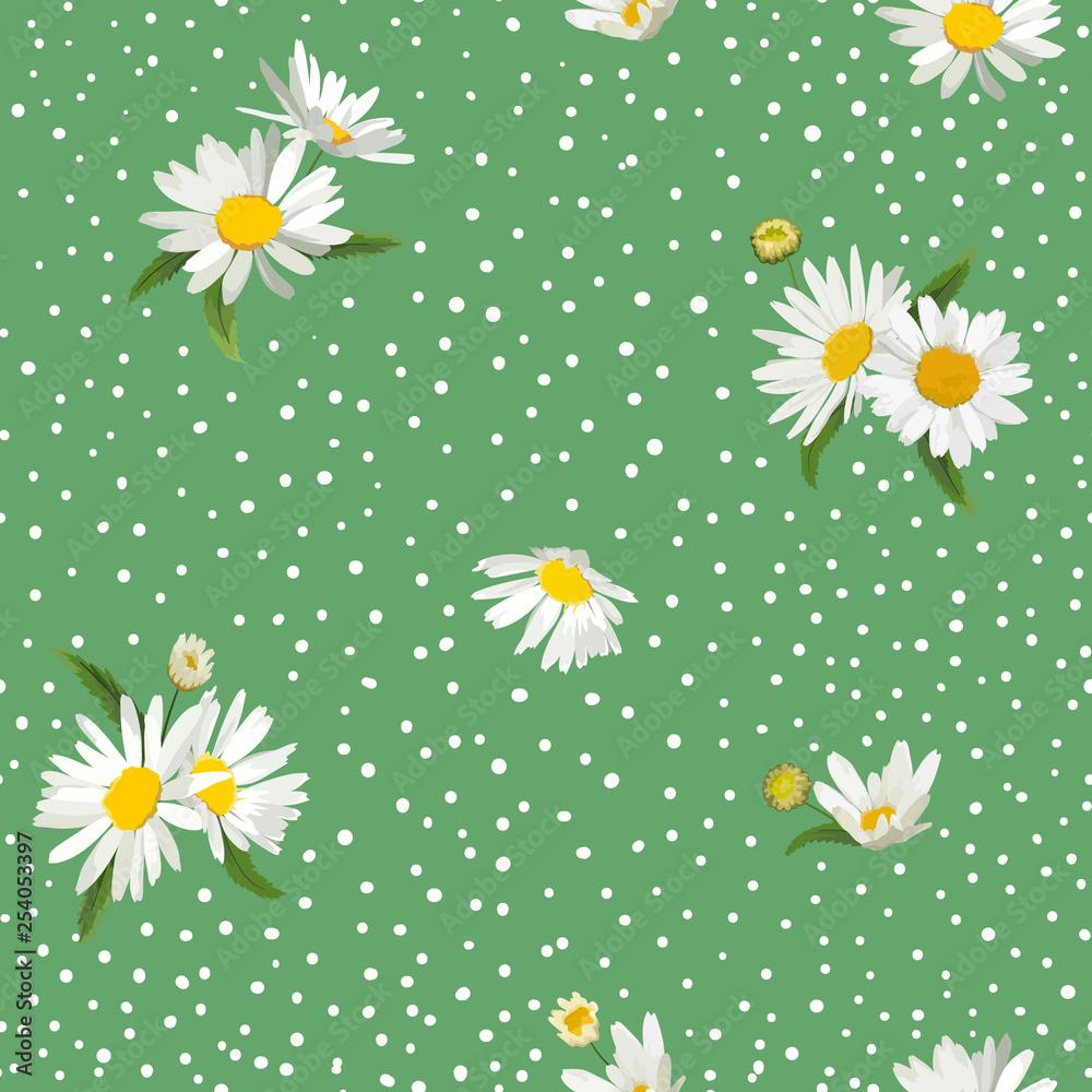 Spring Daisy Wallpapers - Top Free Spring Daisy Backgrounds ...