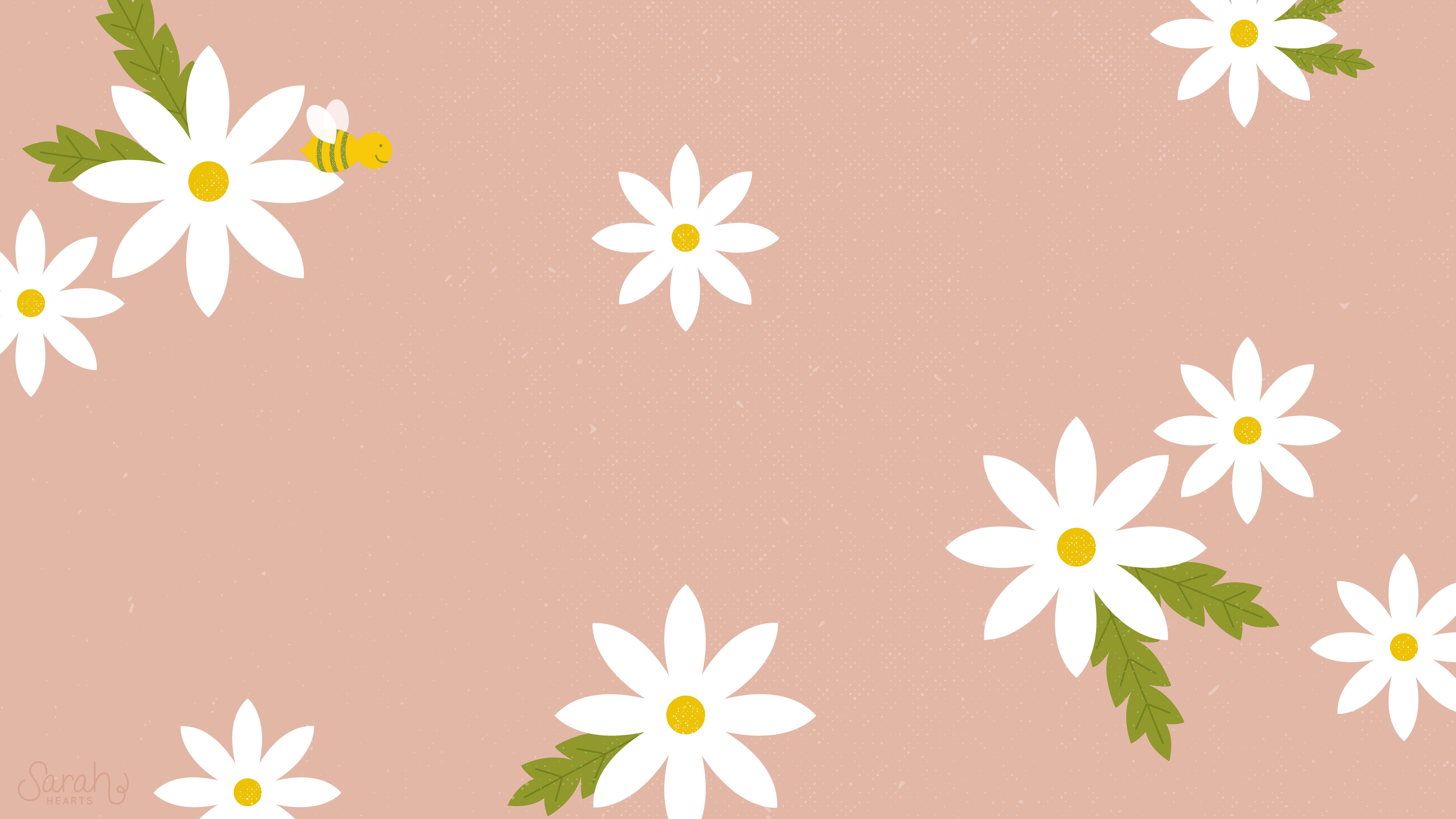 Spring Daisy Wallpapers - Top Free Spring Daisy Backgrounds ...