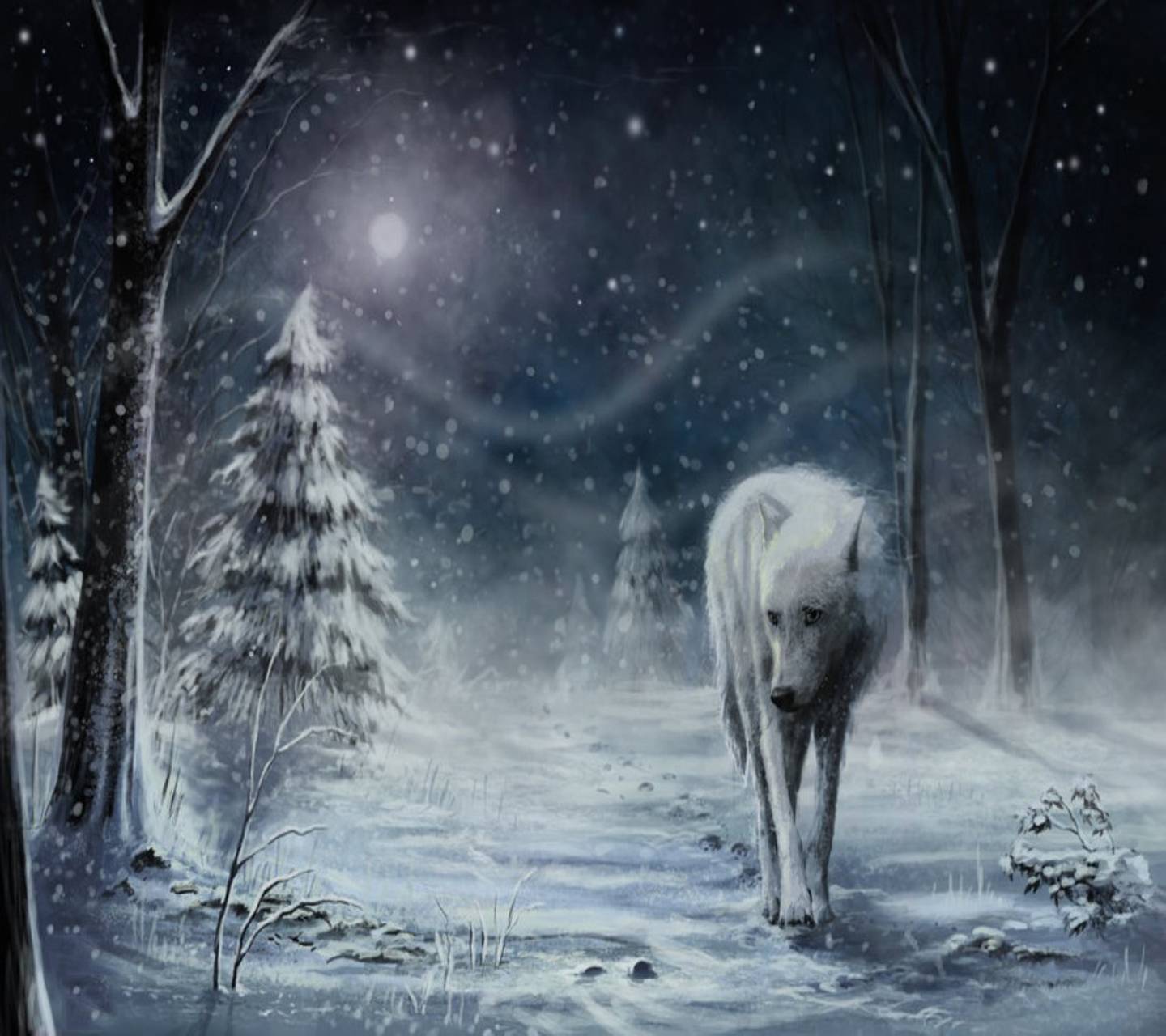 Winter Wolf Wallpapers - Top Free Winter Wolf Backgrounds - WallpaperAccess