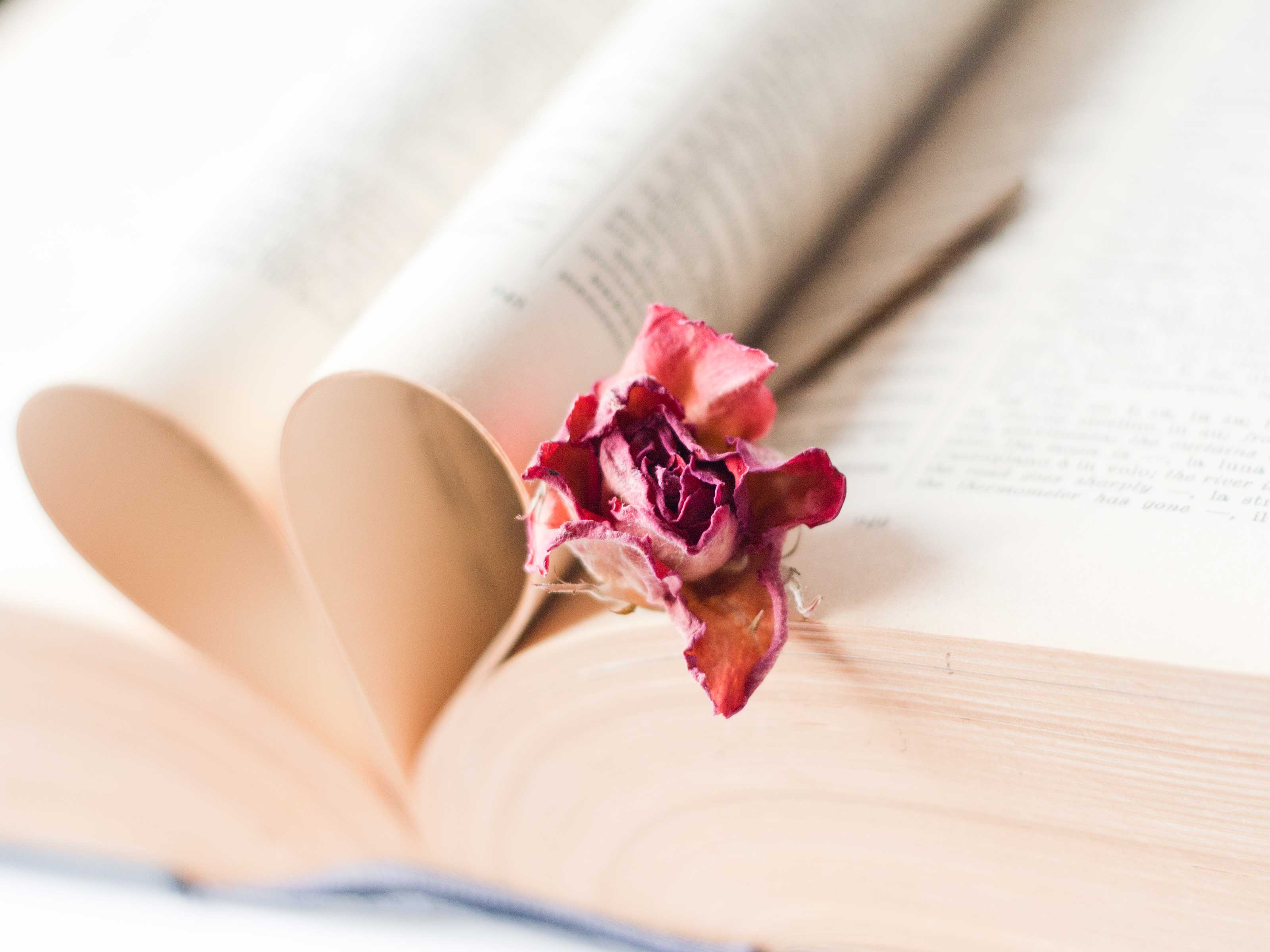 Literary Desktop Wallpapers - Top Free Literary Desktop Backgrounds ...