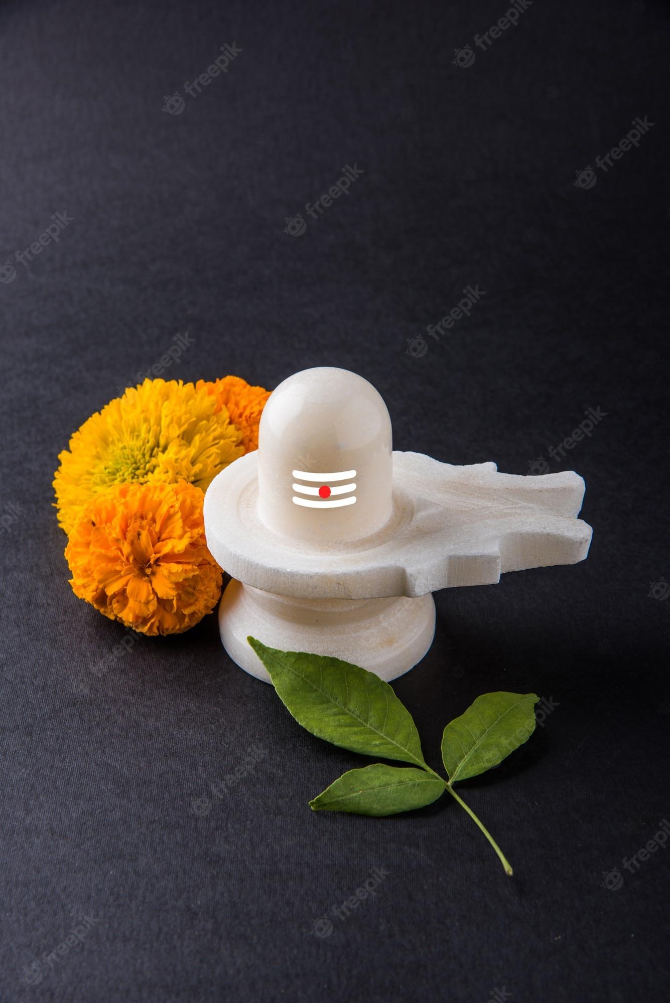 Lord Shiva Lingam Wallpapers - Top Free Lord Shiva Lingam Backgrounds ...