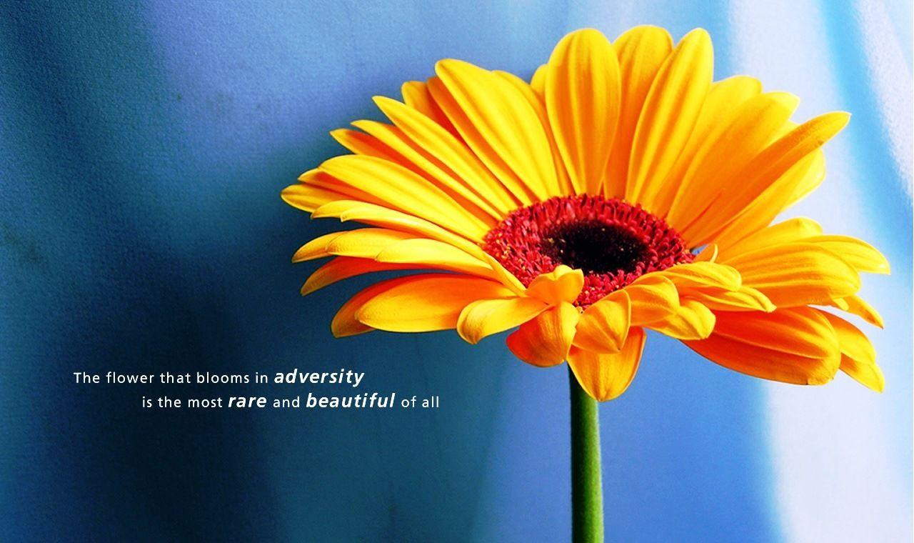 Beautiful Inspirational Wallpapers - Top Free Beautiful Inspirational ...