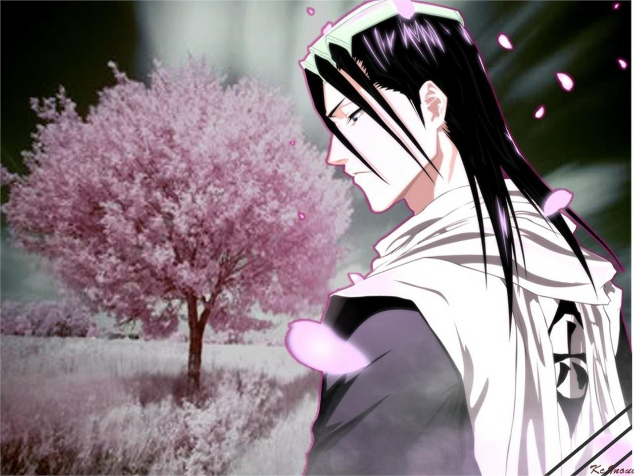 Byakuya Bankai Wallpapers - Top Free Byakuya Bankai Backgrounds ...