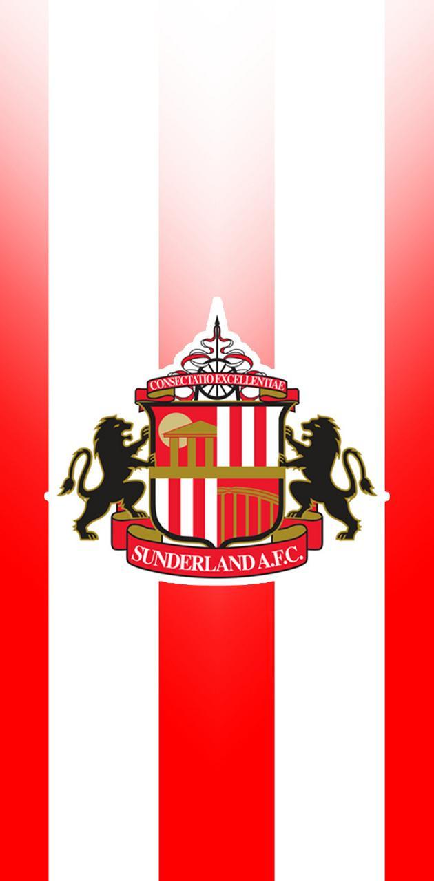 Sunderland AFC Wallpapers - Top Free Sunderland AFC Backgrounds ...