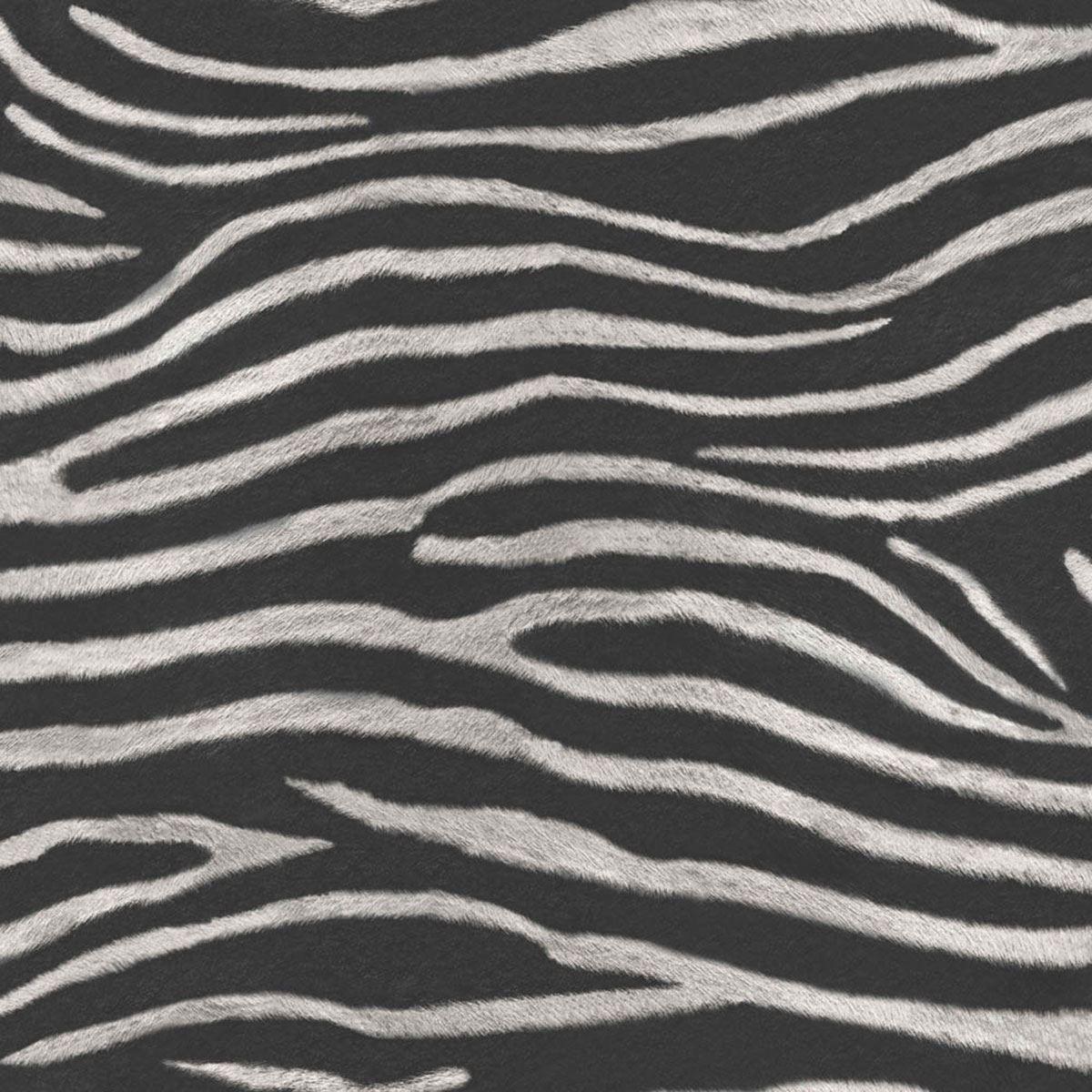 Zebra Pattern Wallpapers - Top Free Zebra Pattern Backgrounds ...