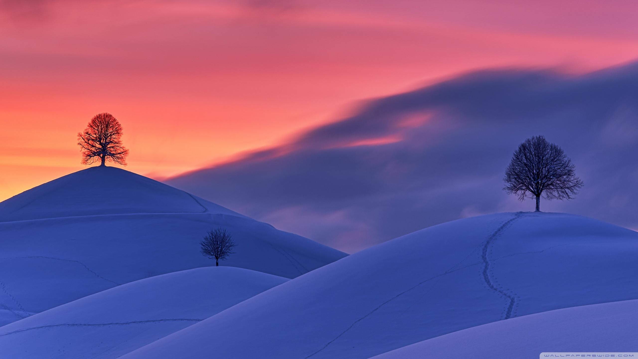 Desert Winter Landscape Wallpapers - Top Free Desert Winter Landscape ...