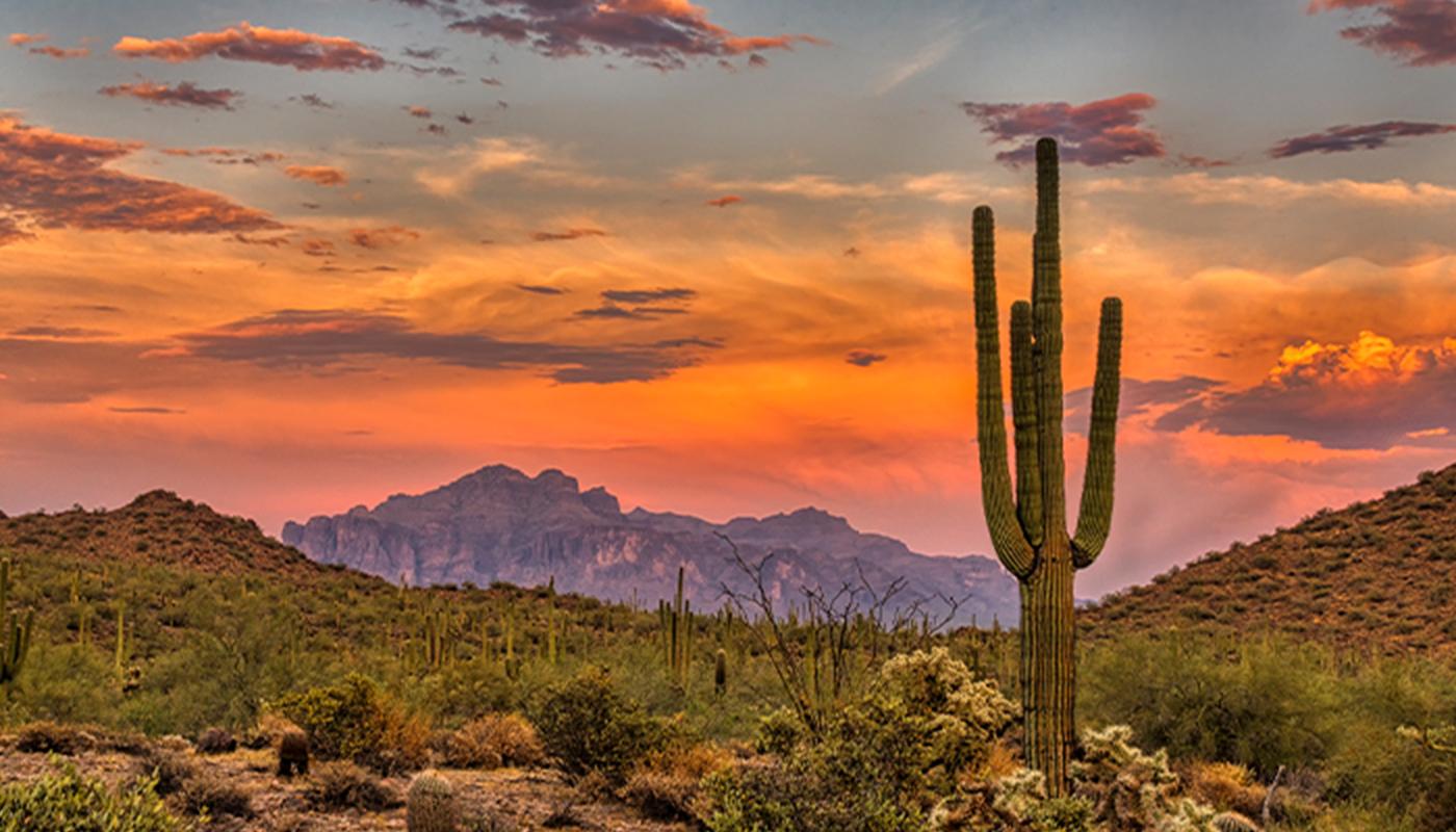 Desert Winter Landscape Wallpapers - Top Free Desert Winter Landscape ...