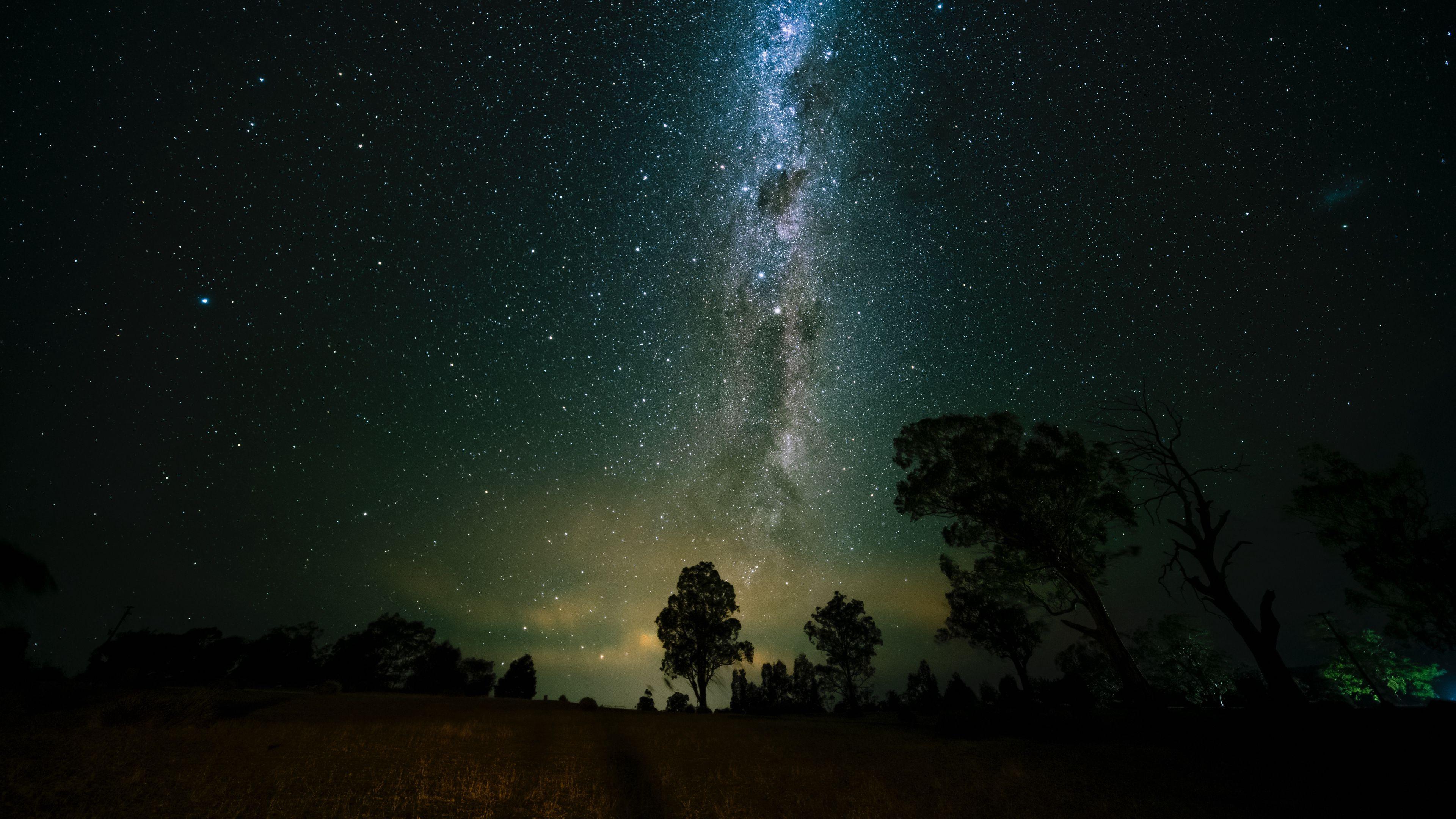 Space Tree Wallpapers - Top Free Space Tree Backgrounds - WallpaperAccess