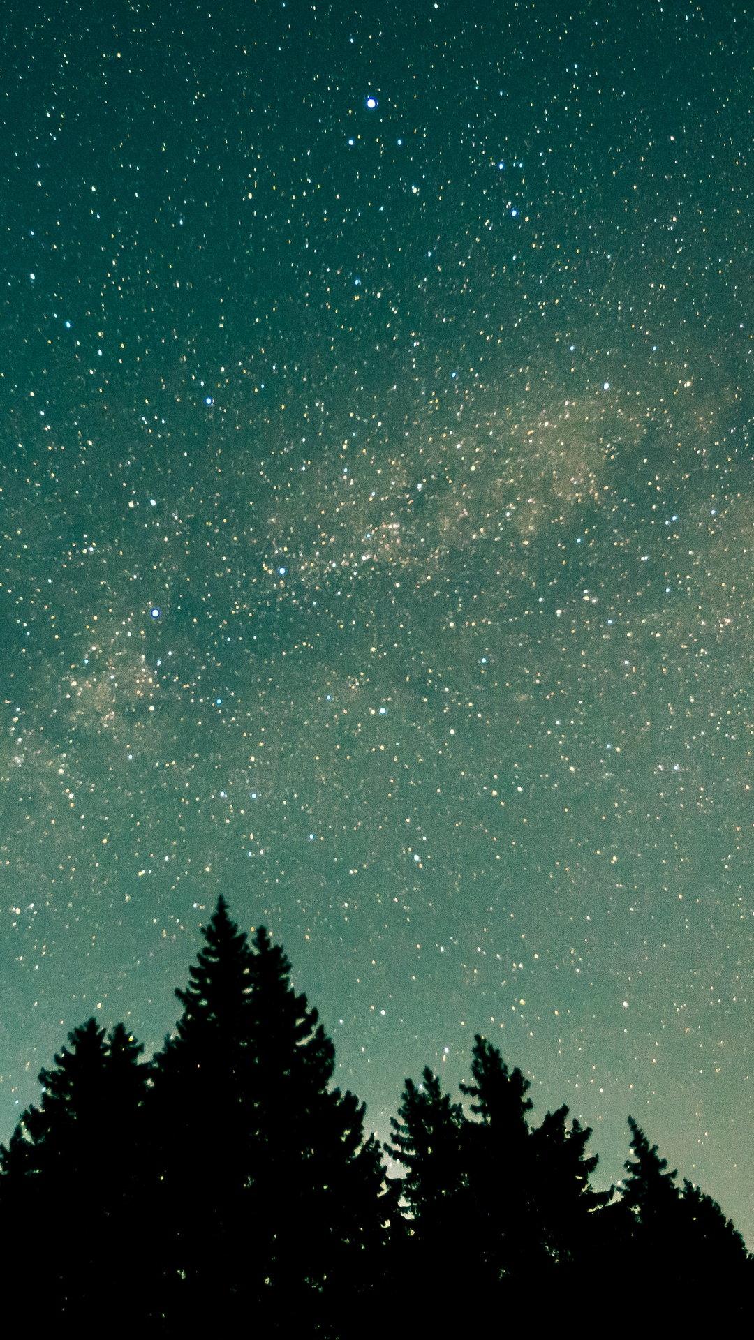 Space Tree Wallpapers - Top Free Space Tree Backgrounds - WallpaperAccess