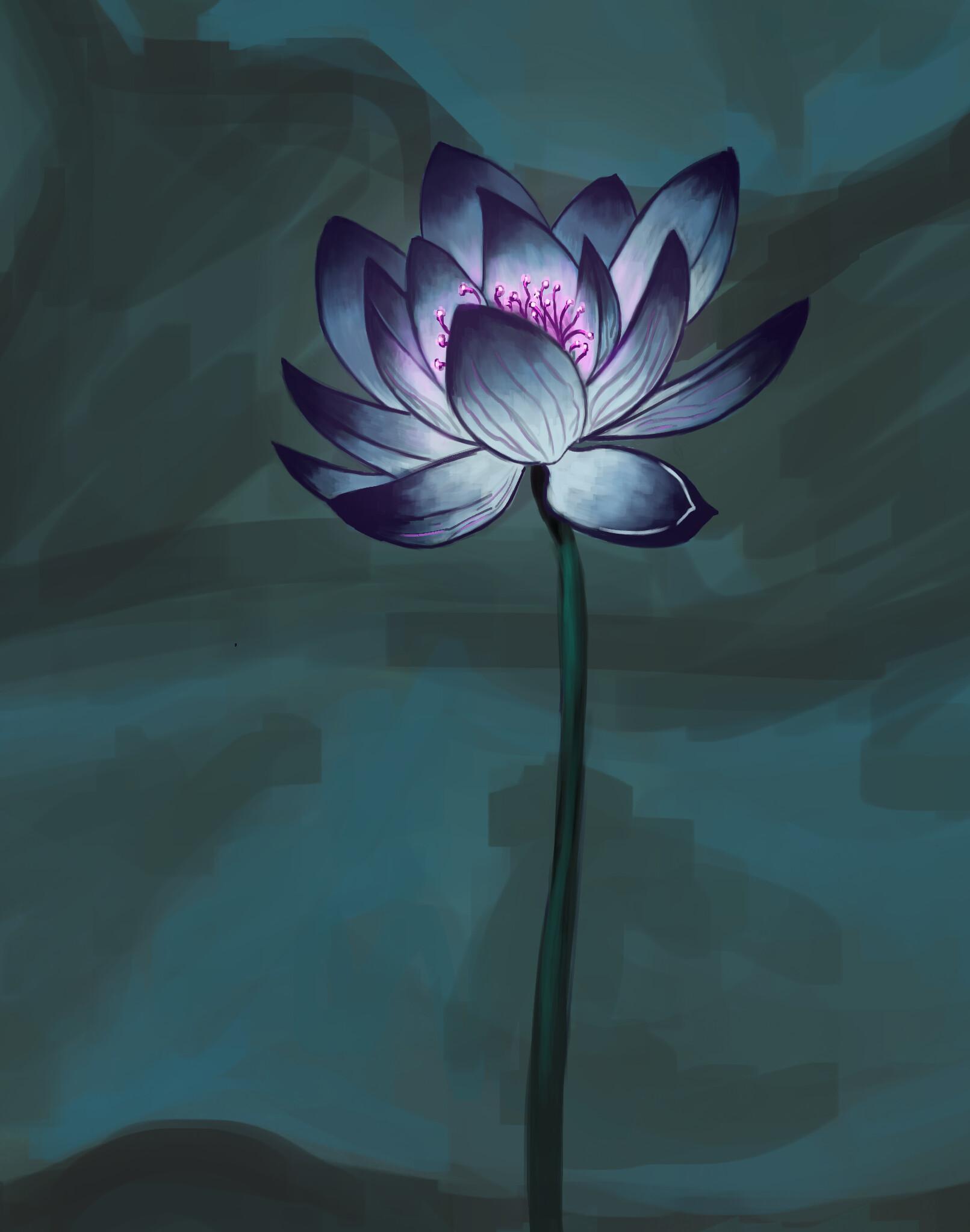 Black Lotus MTG Wallpapers - Top Free Black Lotus MTG Backgrounds ...
