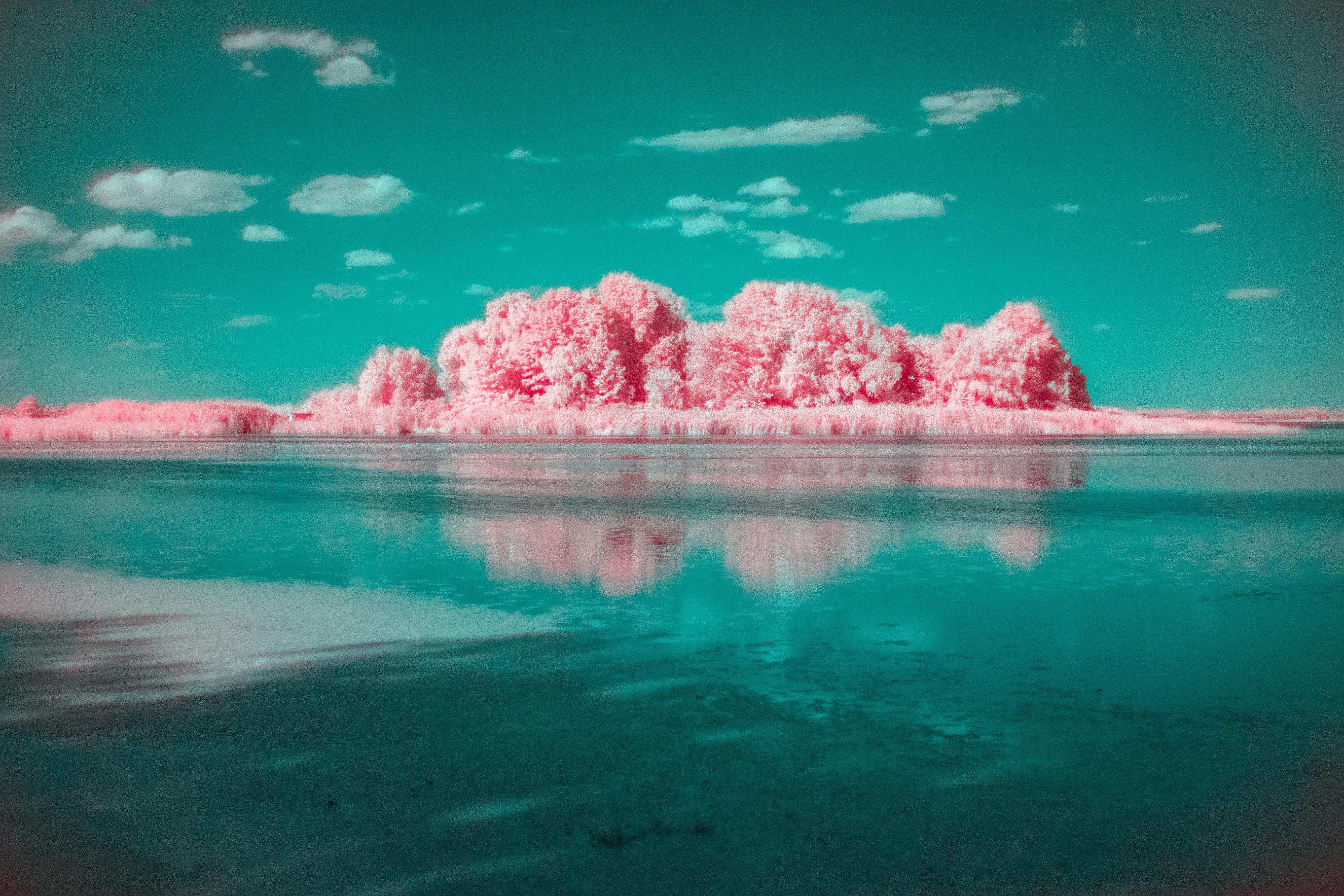 Infrared Photography Wallpapers - Top Free Infrared Photography ...