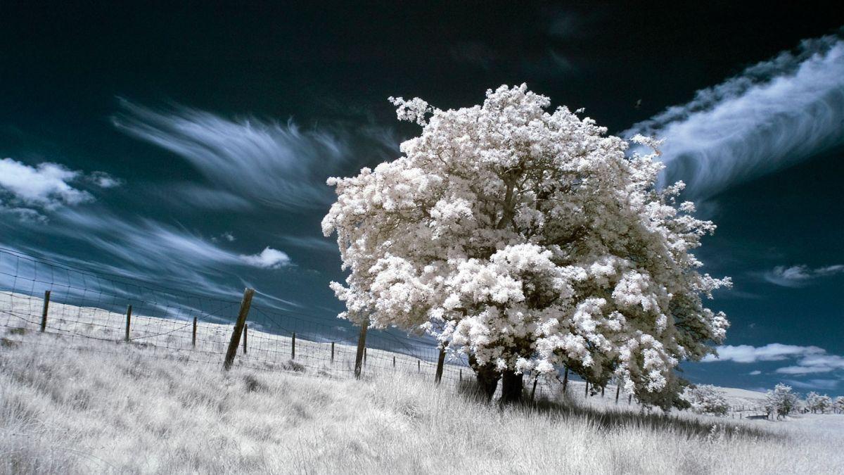 Infrared Photography Wallpapers - Top Free Infrared Photography ...