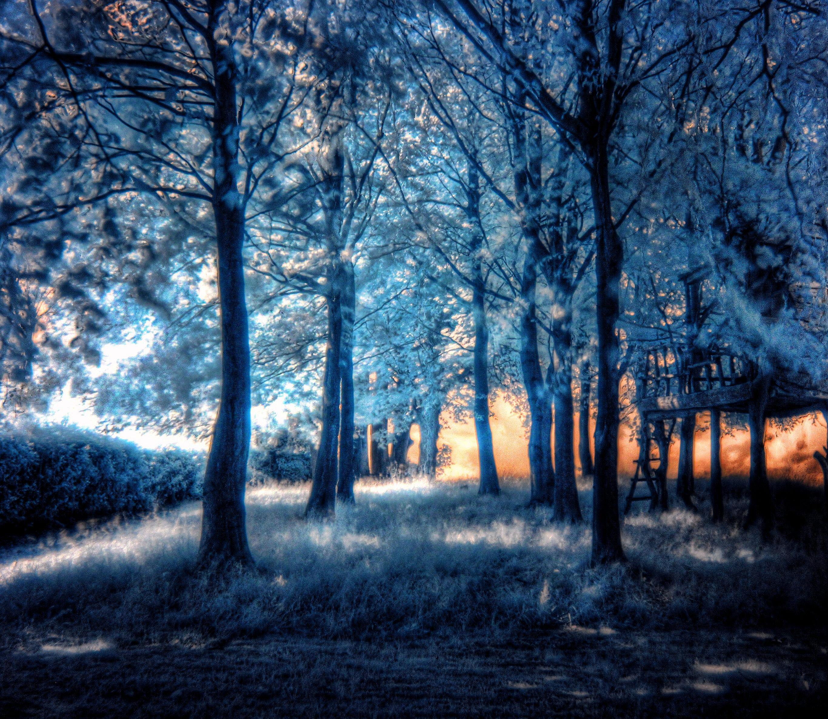 Infrared Photography Wallpapers - Top Free Infrared Photography ...
