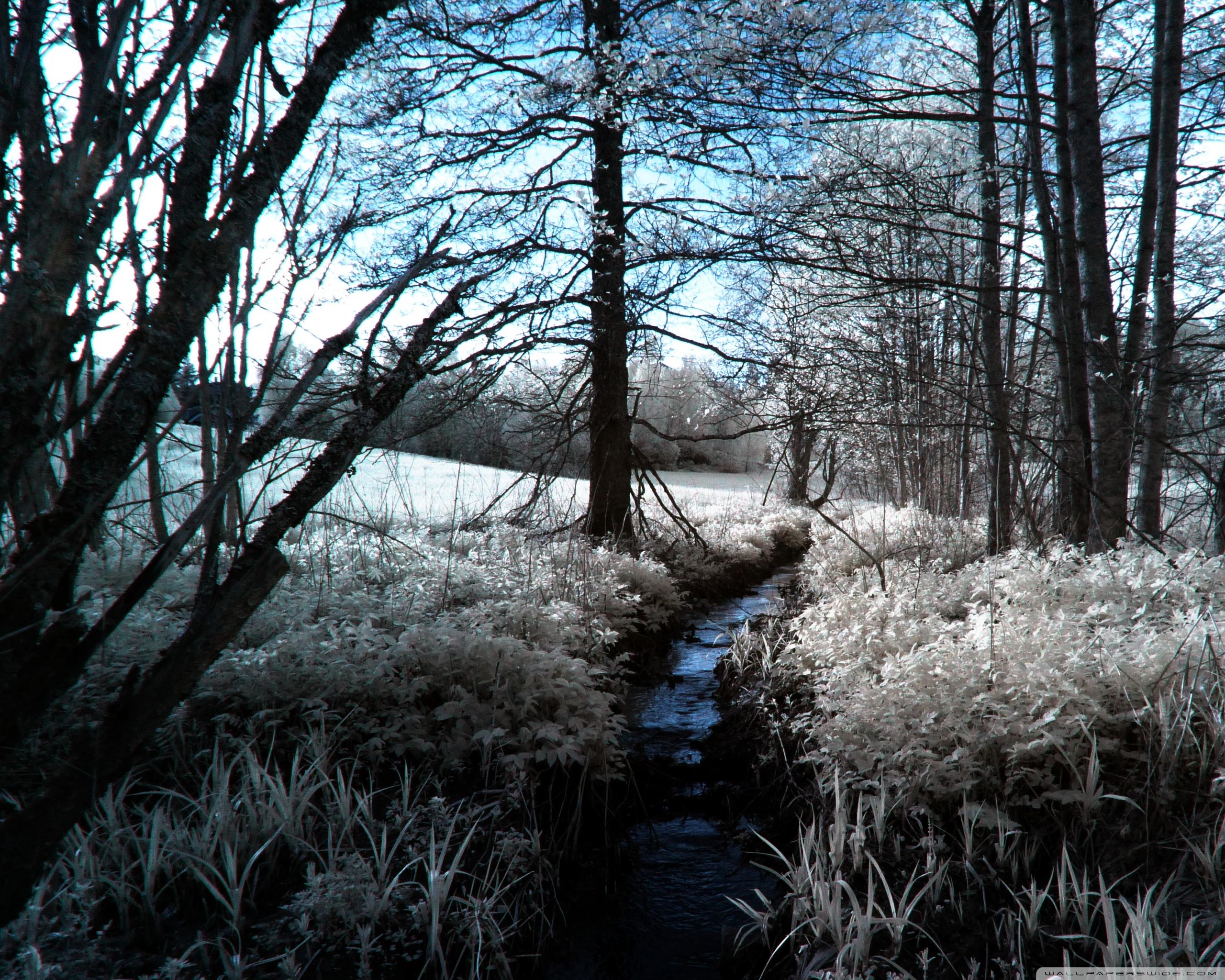 Infrared Photography Wallpapers - Top Free Infrared Photography ...