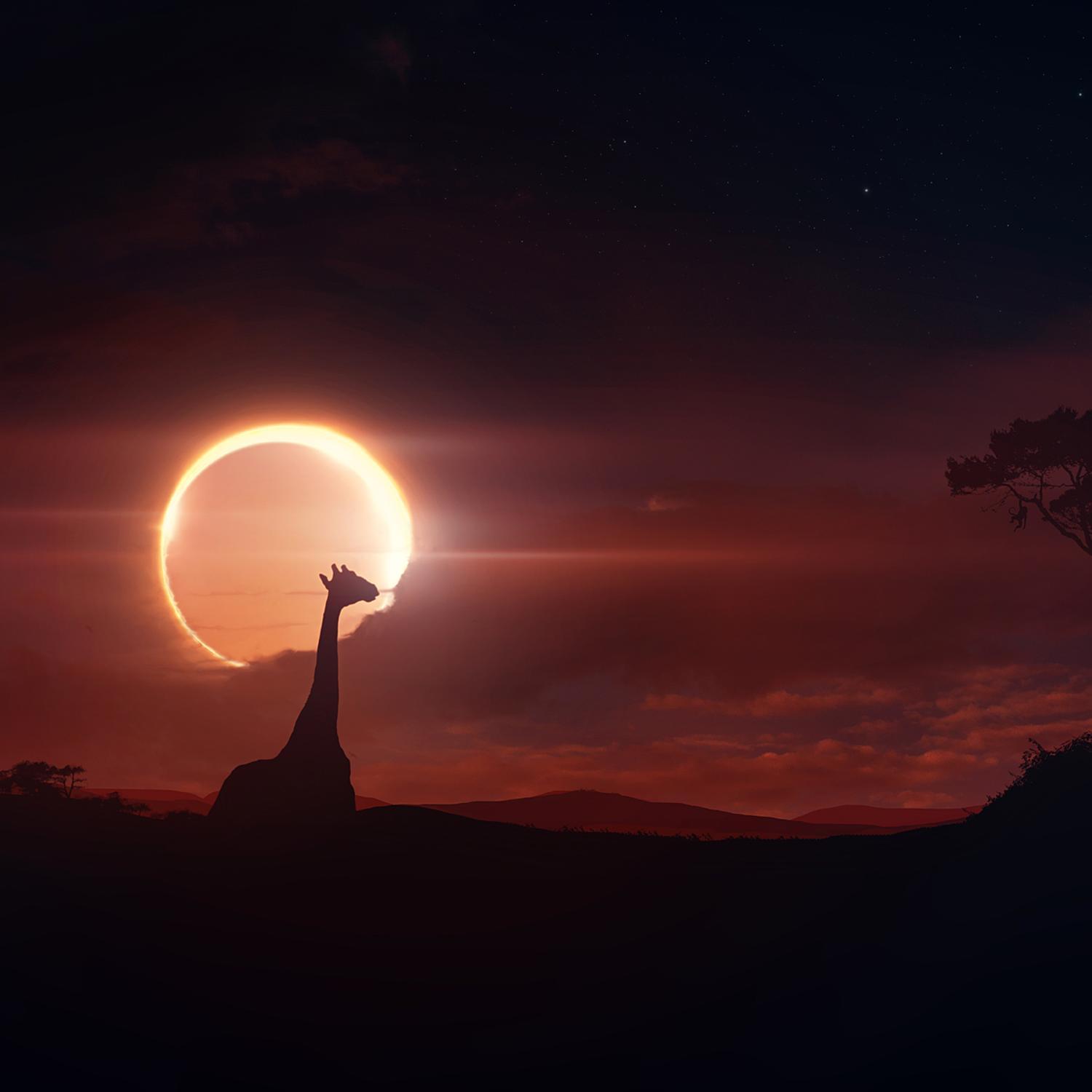 Red Eclipse Wallpapers - Top Free Red Eclipse Backgrounds - WallpaperAccess