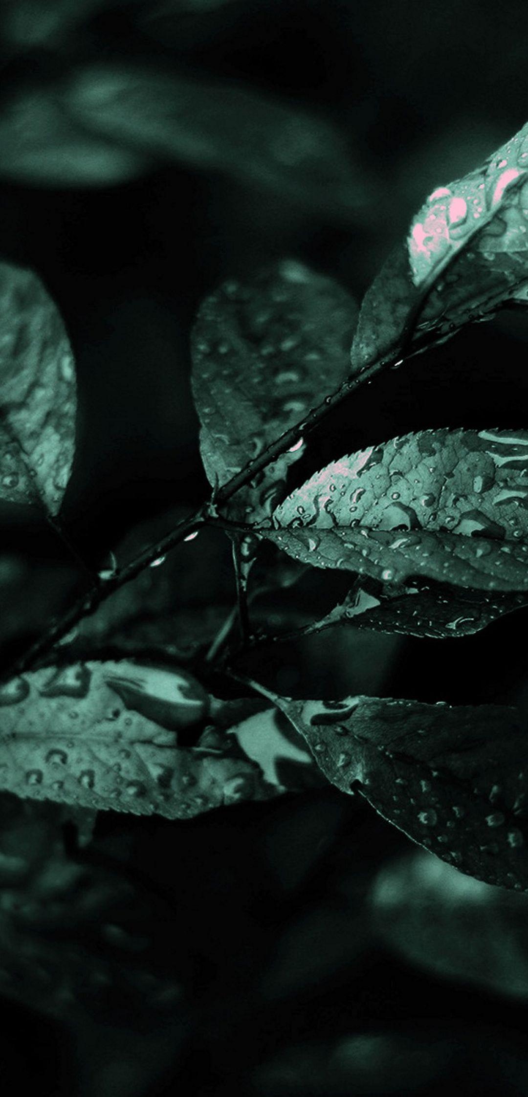 Natural Dark Wallpapers - Top Free Natural Dark Backgrounds ...