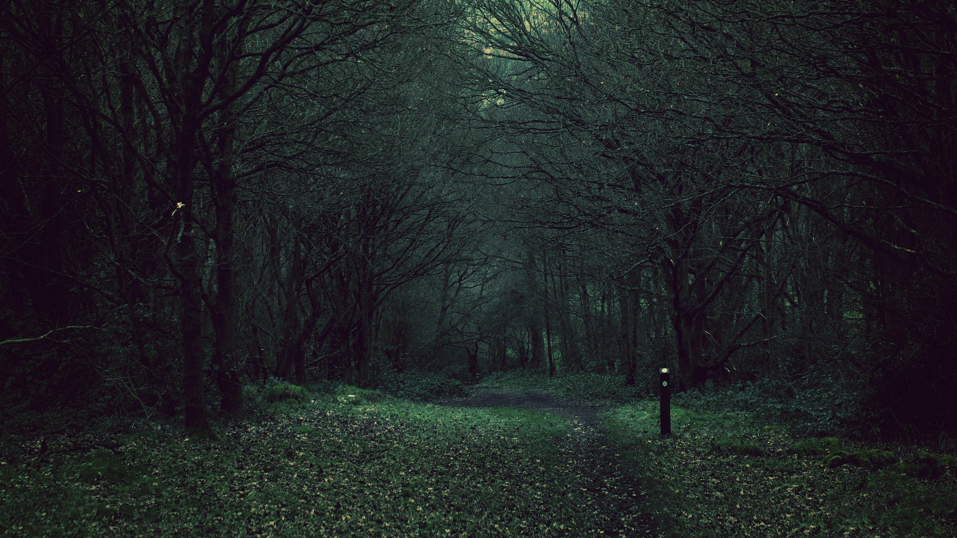 Natural Dark Wallpapers - Top Free Natural Dark Backgrounds ...