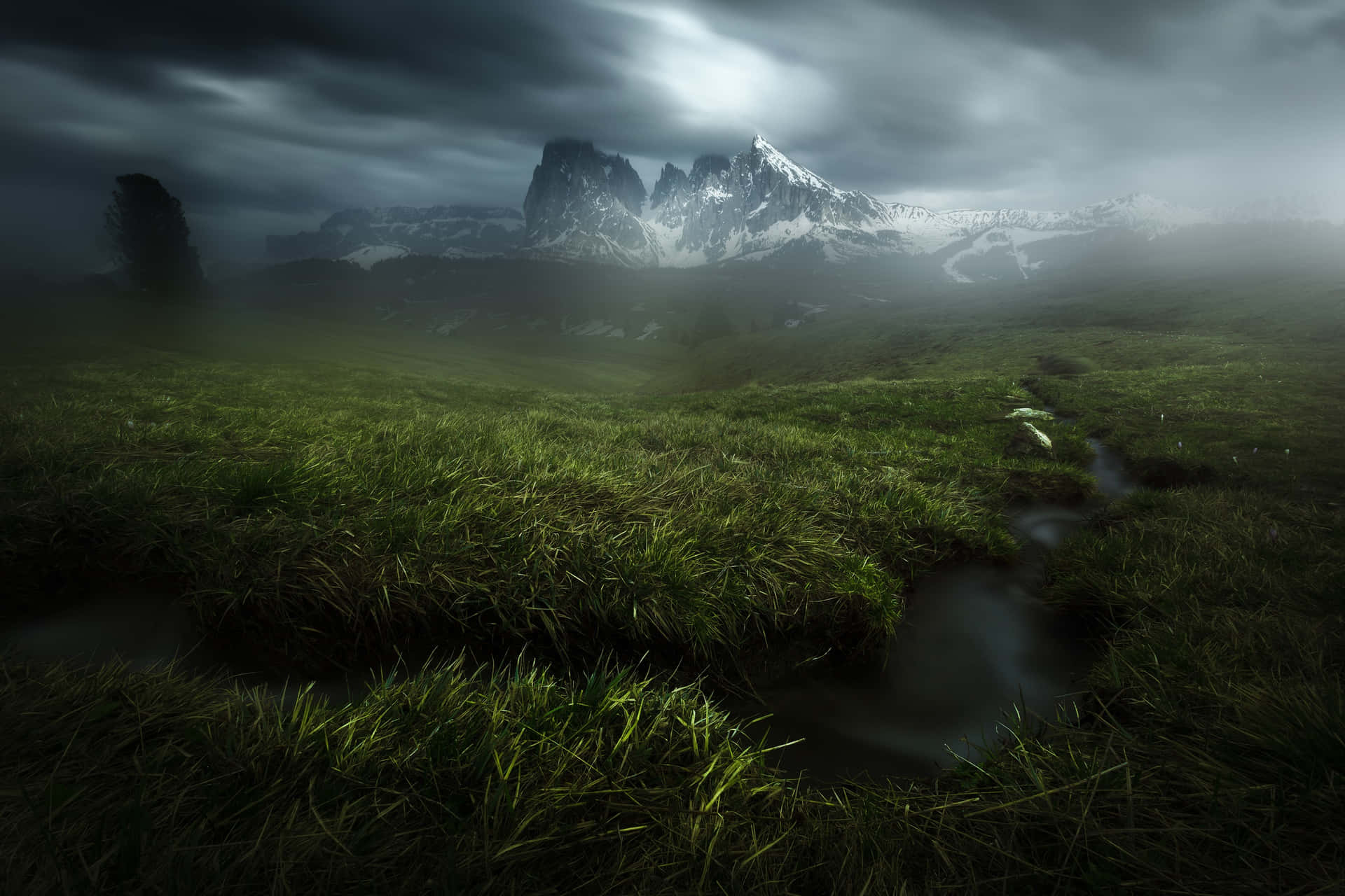 Natural Dark Wallpapers - Top Free Natural Dark Backgrounds ...