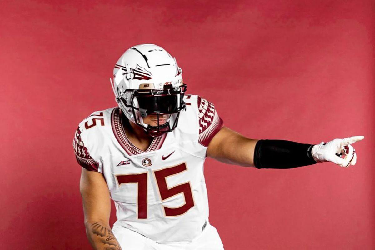 FSU Football Wallpapers - Top Free FSU Football Backgrounds ...