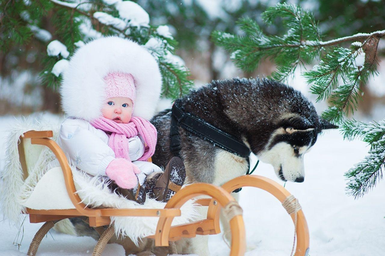 Baby Winter Animals Wallpapers - Top Free Baby Winter Animals ...