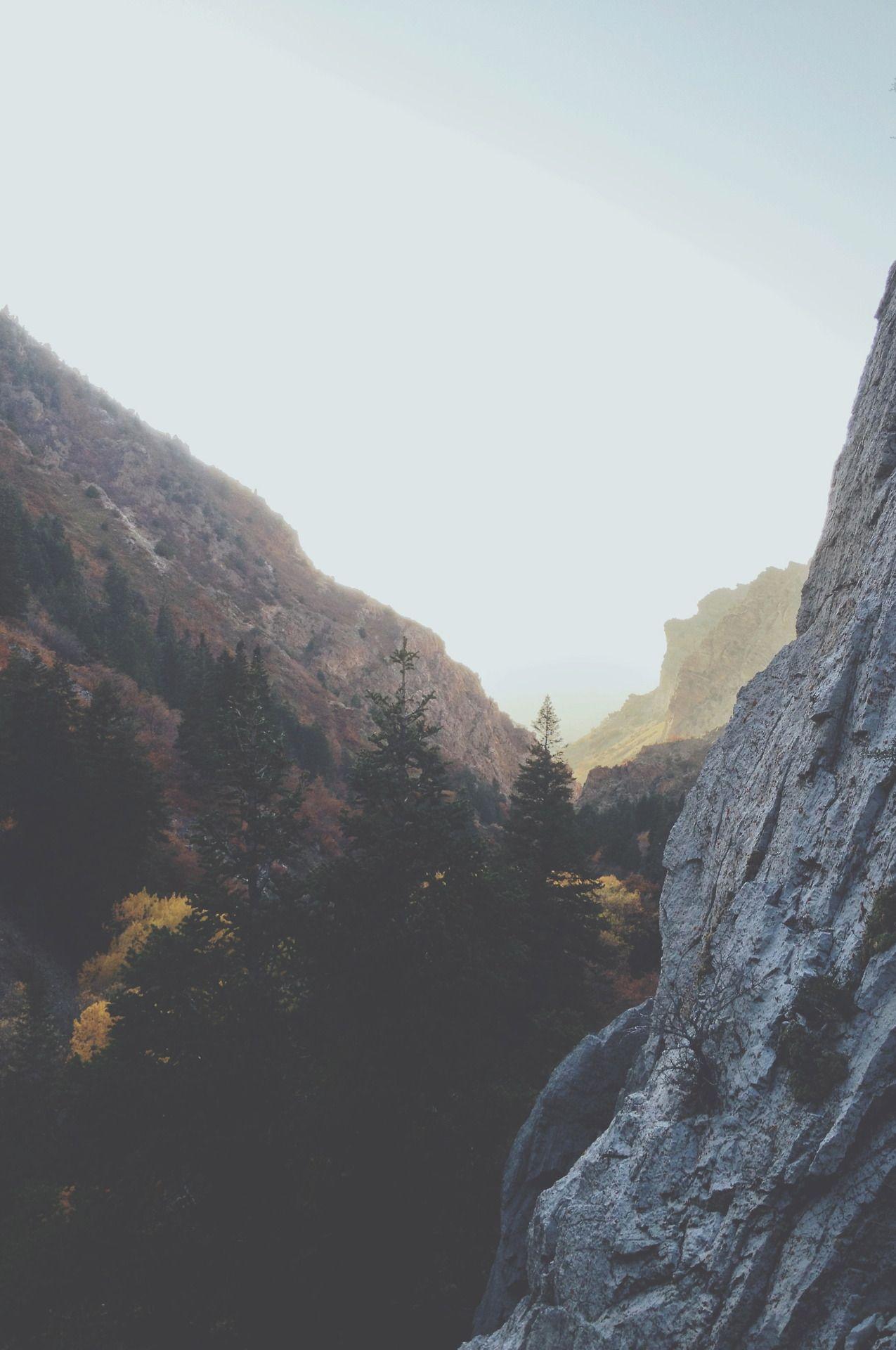 Bushcraft Wallpapers - Top Free Bushcraft Backgrounds - WallpaperAccess