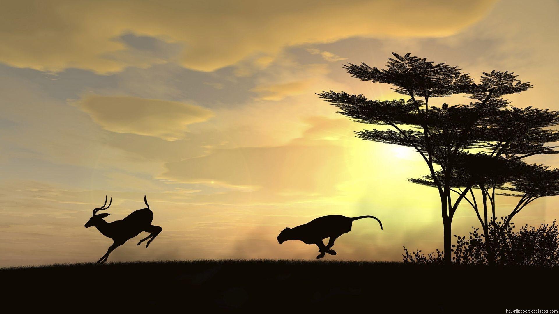 Animals HD Desktop Wallpapers - Top Free Animals HD Desktop Backgrounds ...