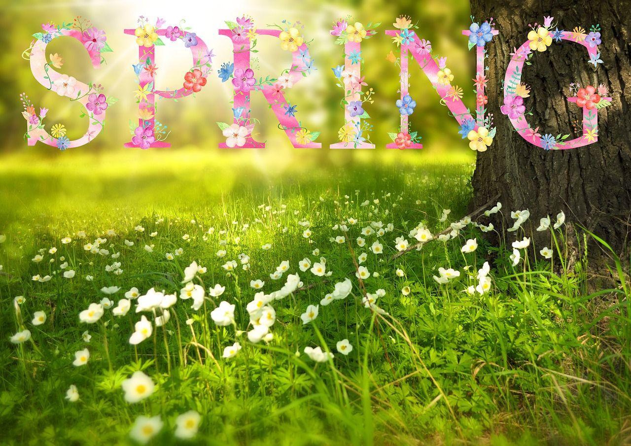 First Day of Spring Wallpapers - Top Free First Day of Spring ...