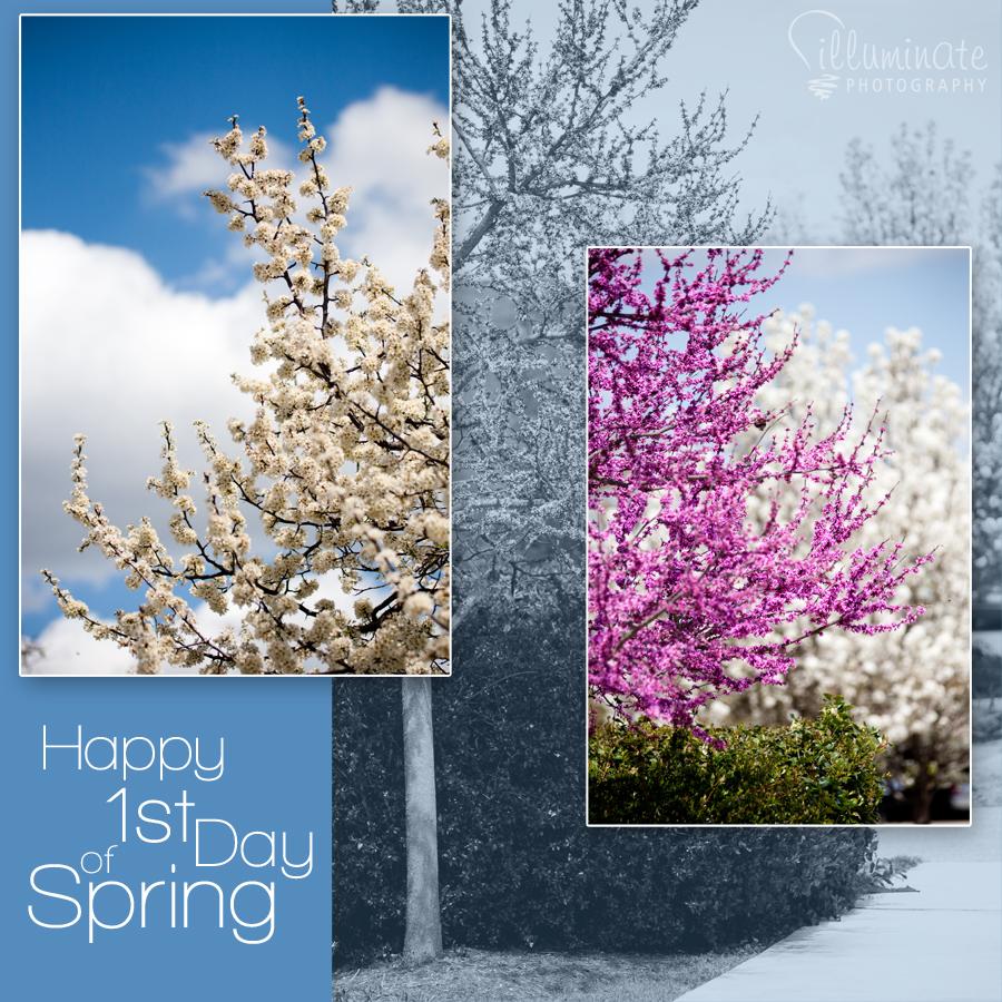First Day of Spring Wallpapers - Top Free First Day of Spring ...