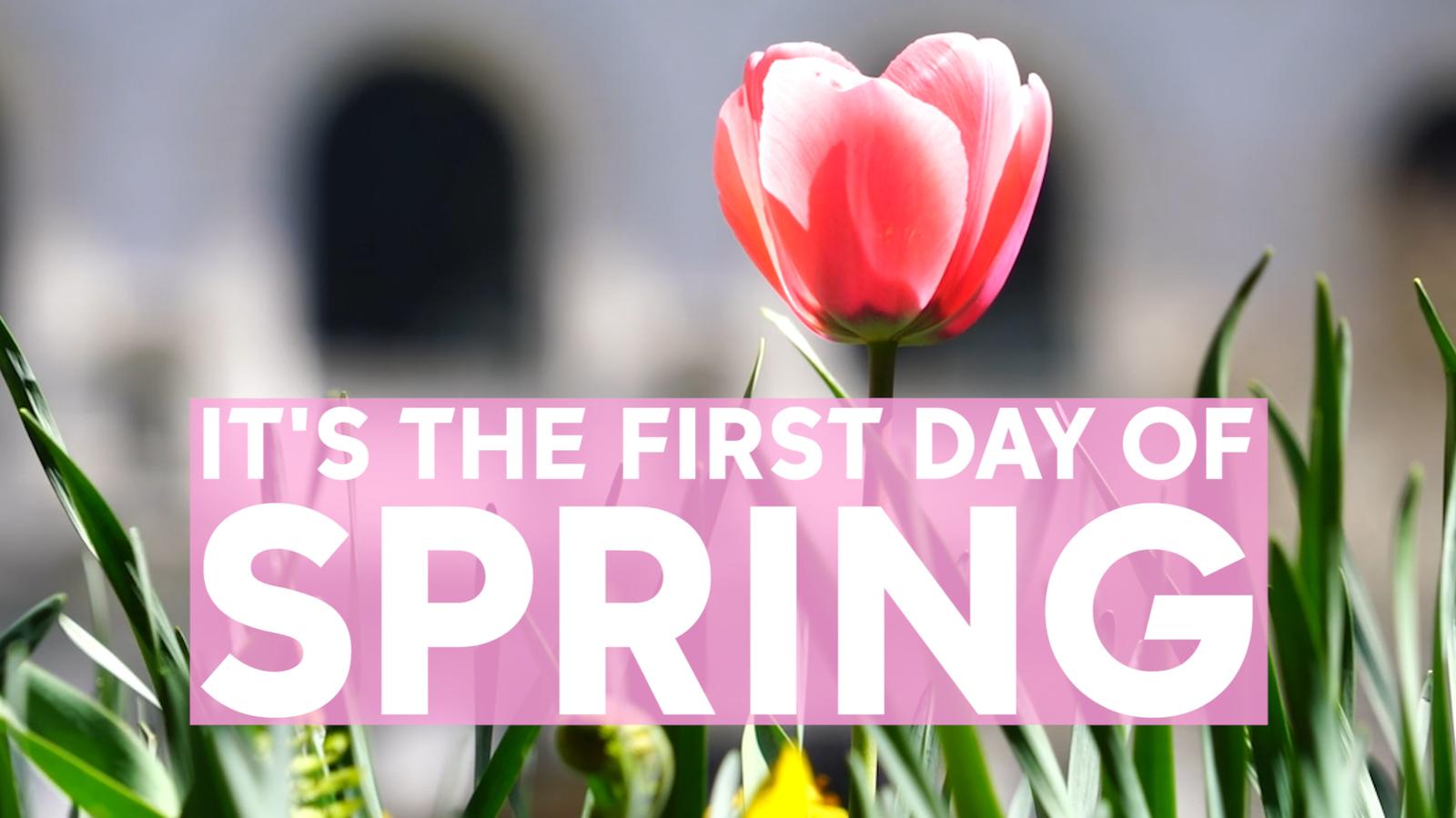 First Day of Spring Wallpapers - Top Free First Day of Spring ...