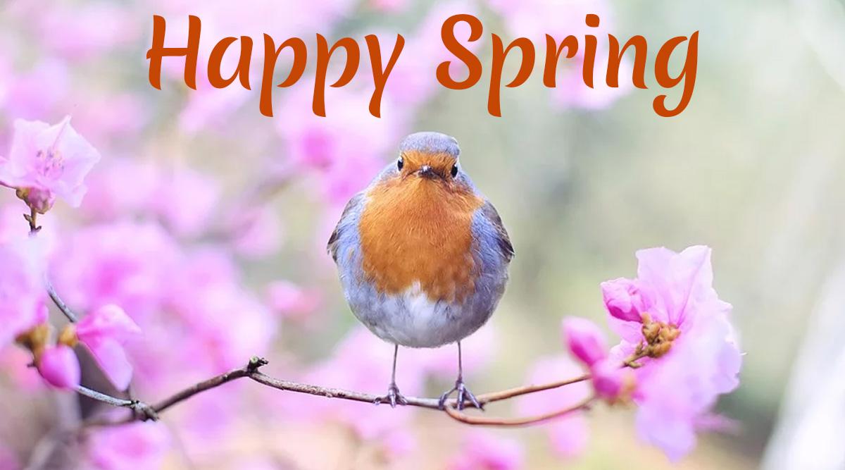 First Day of Spring Wallpapers - Top Free First Day of Spring ...