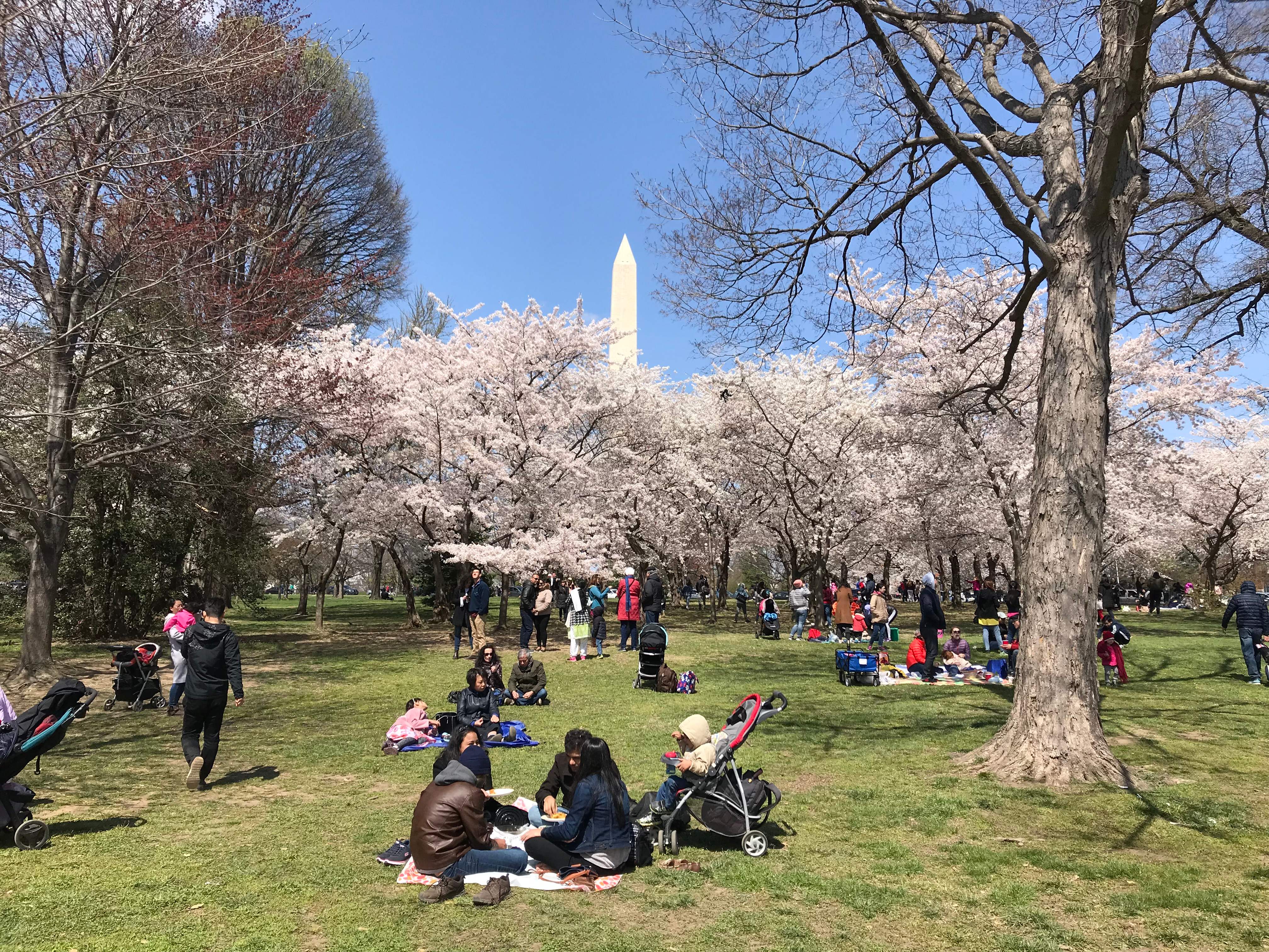 First Day of Spring Wallpapers - Top Free First Day of Spring ...