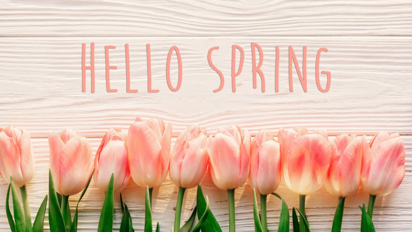 First Day of Spring Wallpapers - Top Free First Day of Spring ...