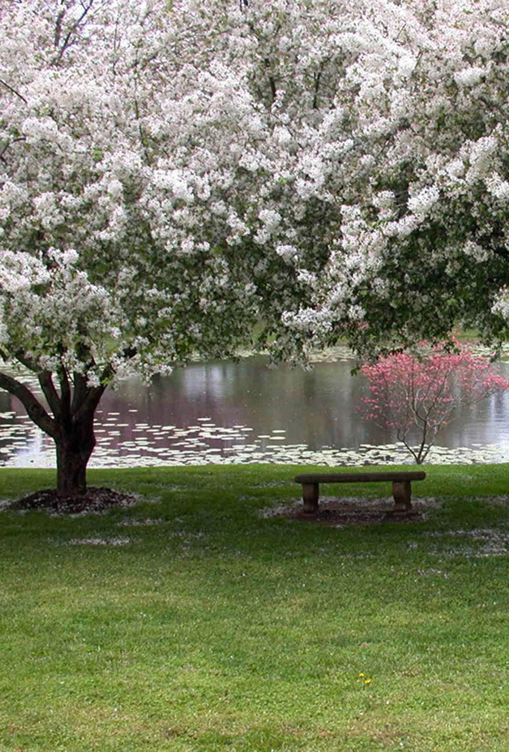 First Day of Spring Wallpapers - Top Free First Day of Spring ...