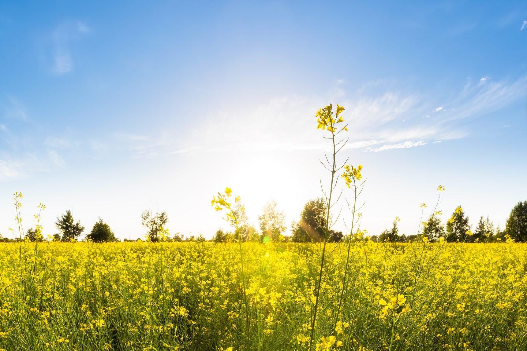 First Day of Spring Wallpapers - Top Free First Day of Spring ...