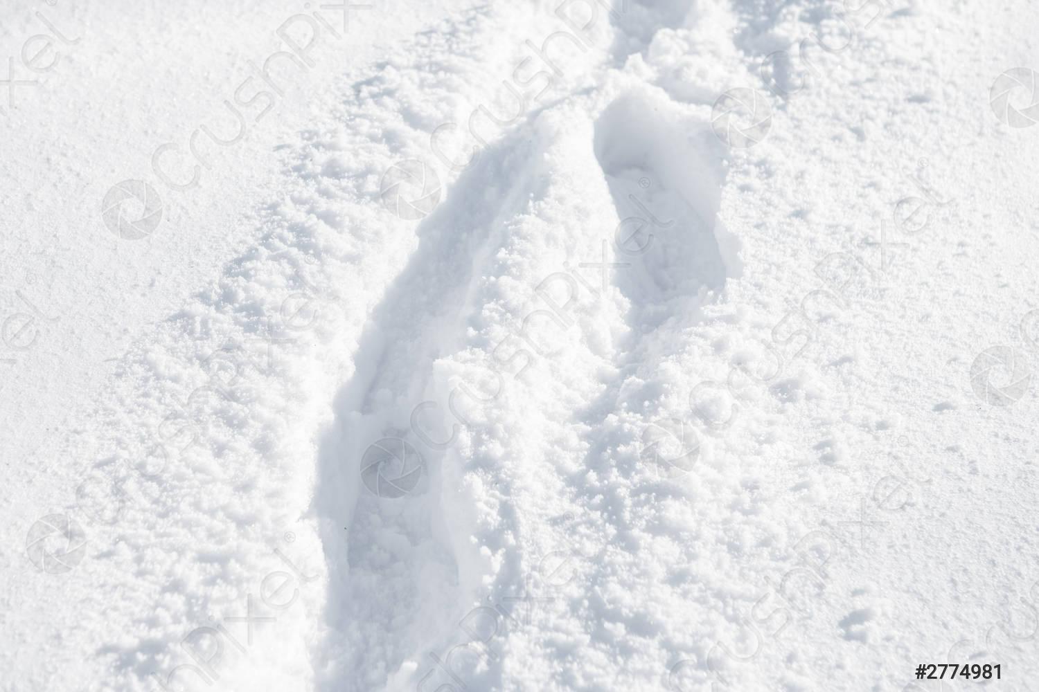 Snow Texture Wallpapers - Top Free Snow Texture Backgrounds ...