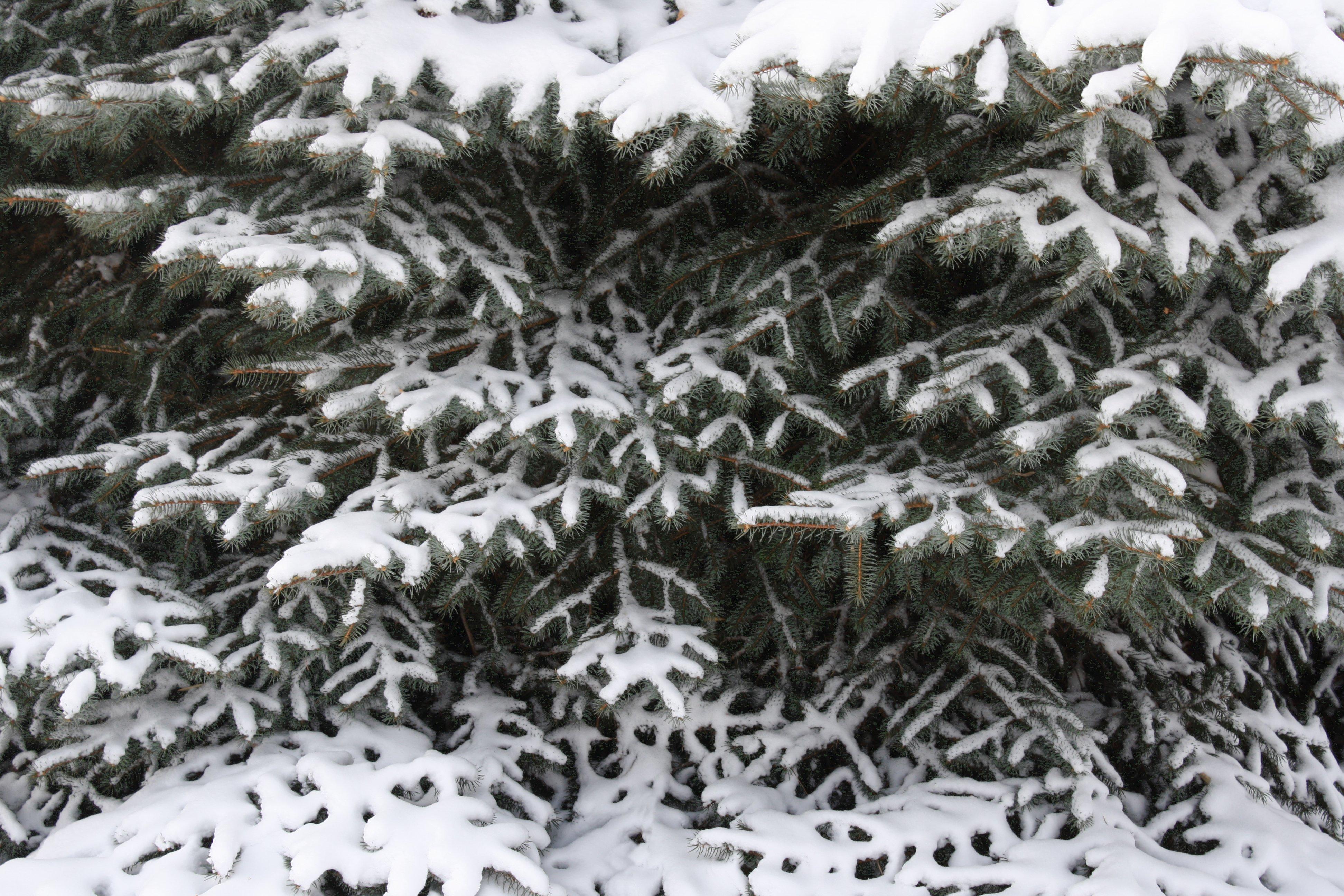 Snow Texture Wallpapers - Top Free Snow Texture Backgrounds ...