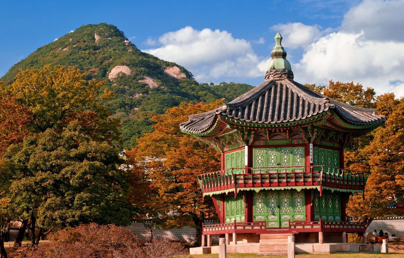 Korean Nature Wallpapers - Top Free Korean Nature Backgrounds ...