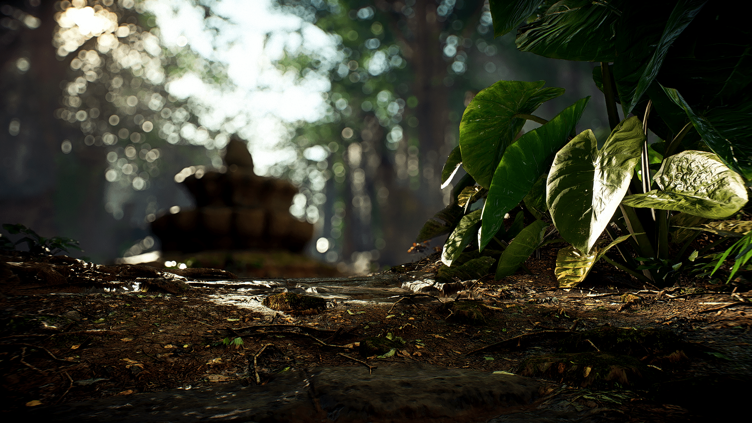 Star Wars Forest Wallpapers - Top Free Star Wars Forest Backgrounds ...