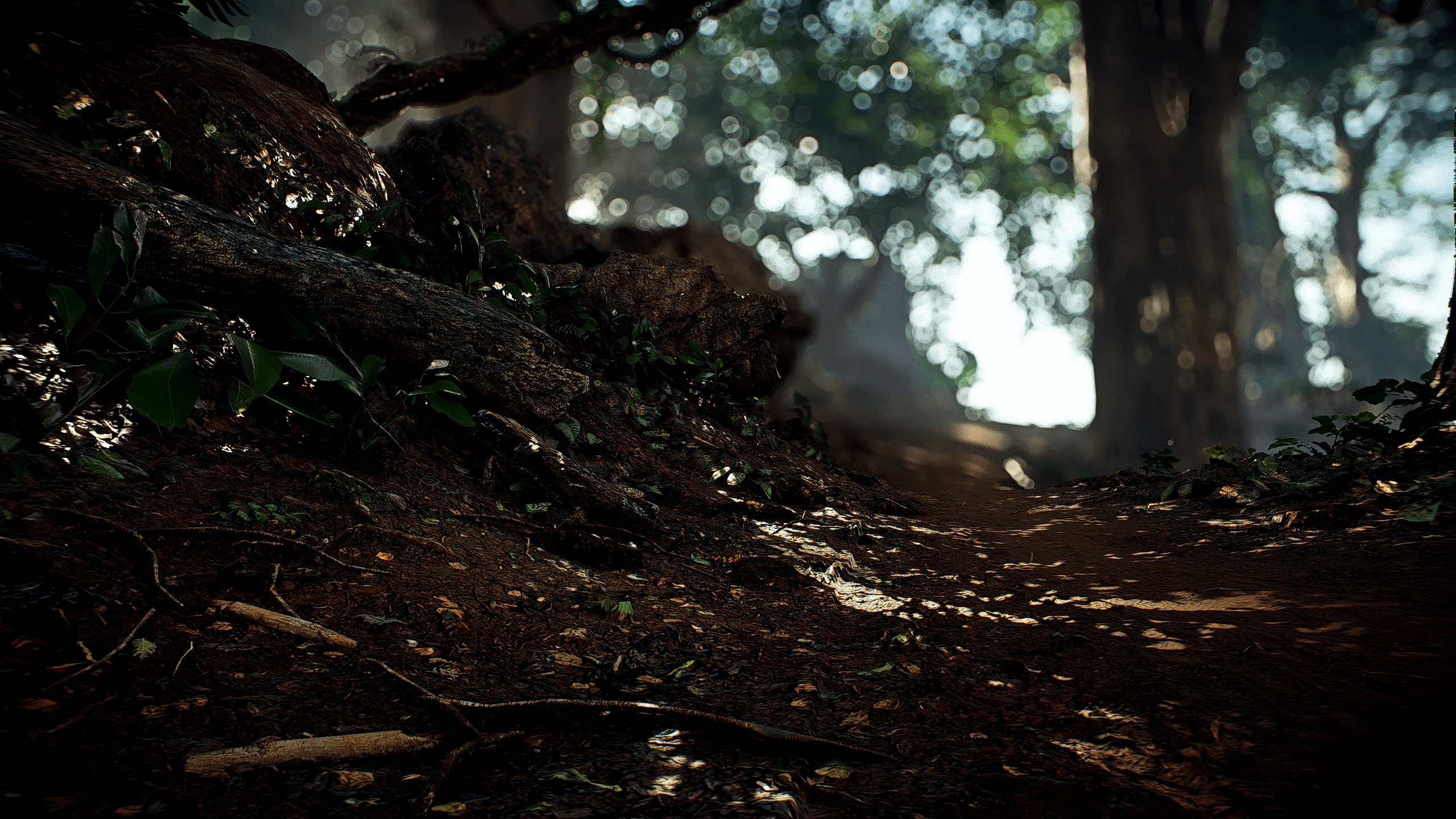 Star Wars Forest Wallpapers - Top Free Star Wars Forest Backgrounds ...