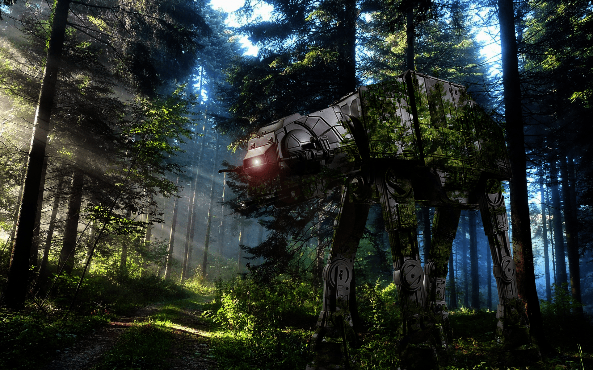 Star Wars Forest Wallpapers - Top Free Star Wars Forest Backgrounds - WallpaperAccess