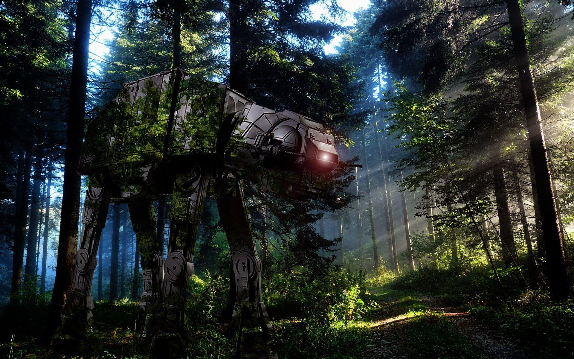 Star Wars Forest Wallpapers - Top Free Star Wars Forest Backgrounds ...