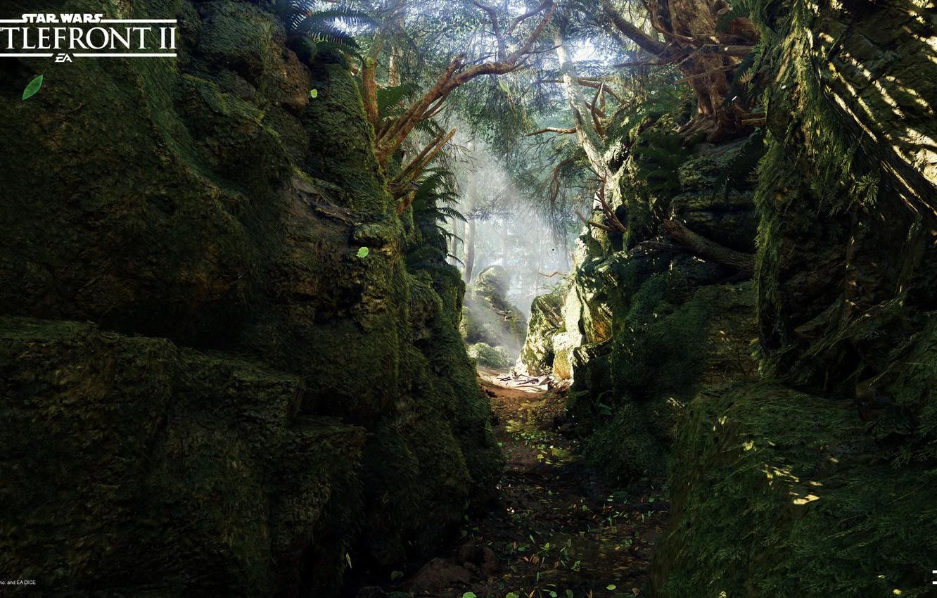Star Wars Forest Wallpapers - Top Free Star Wars Forest Backgrounds ...