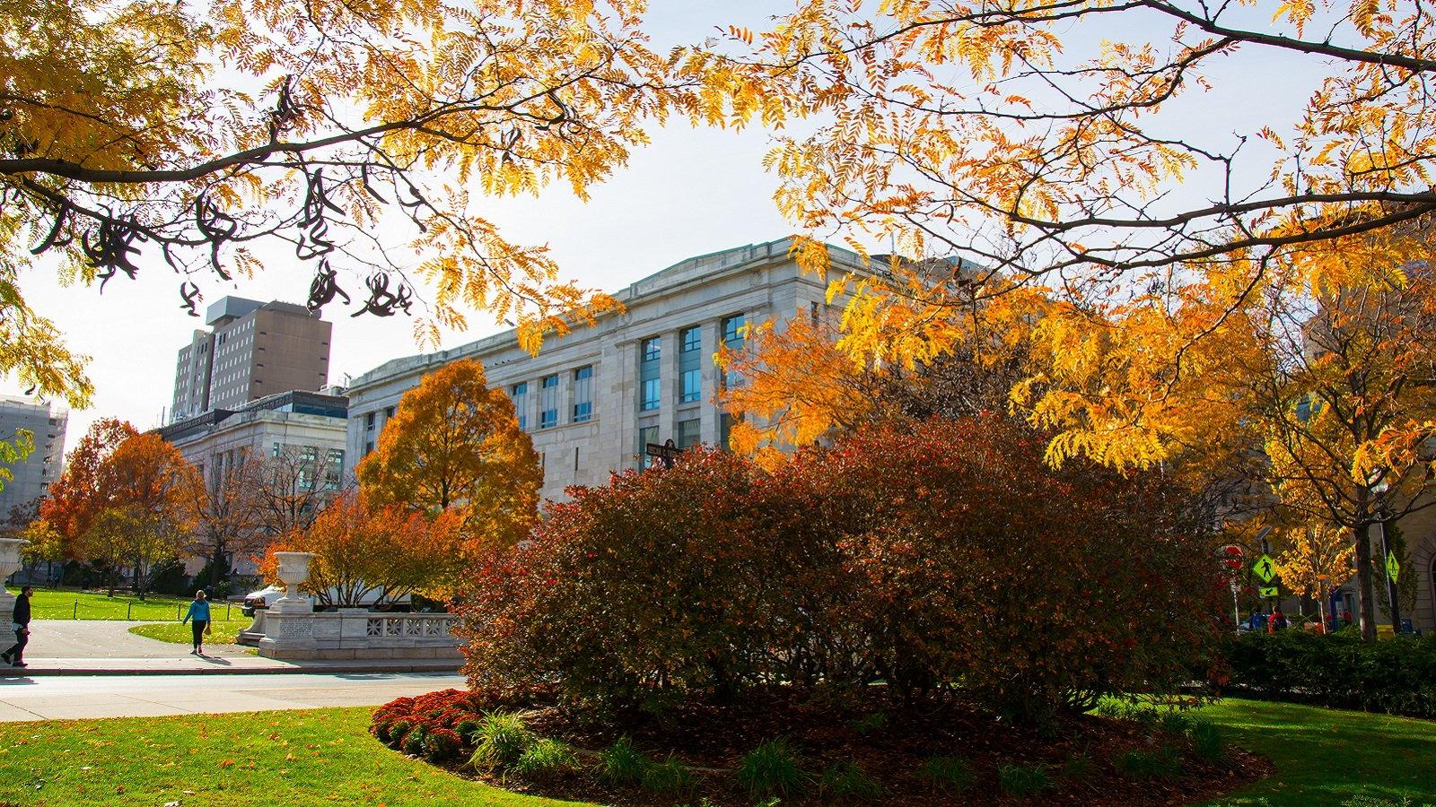 Harvard Medical School Wallpapers - Top Free Harvard Medical School ...