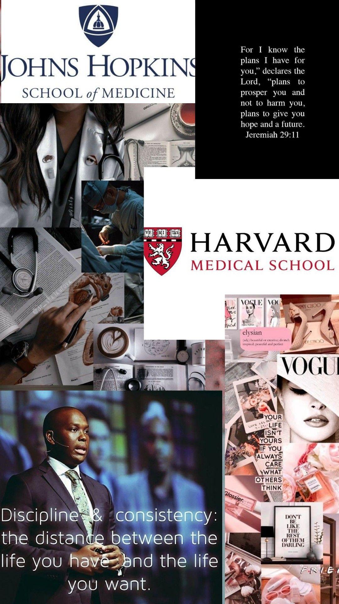 Harvard Medical School Wallpapers - Top Free Harvard Medical School ...